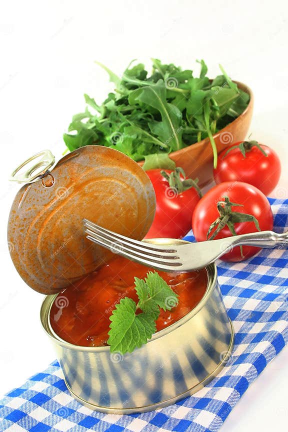 Tin of fish stock photo. Image of recipes, canned, meal - 19898324
