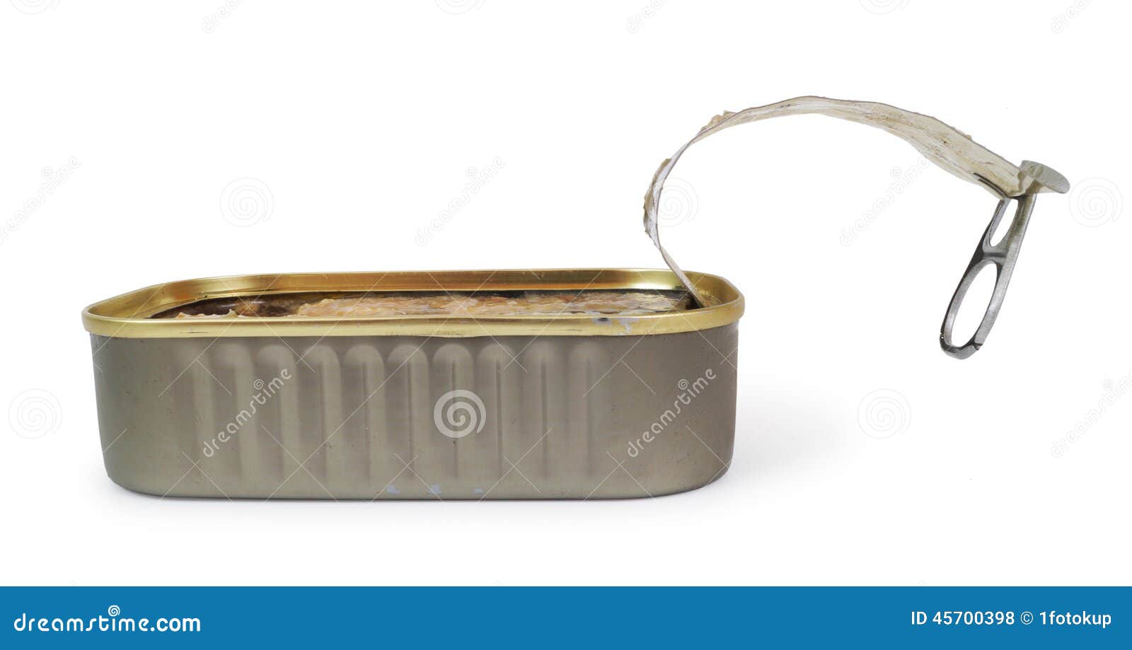Tin fish stock photo. Image of layered, open, delicious - 45700398