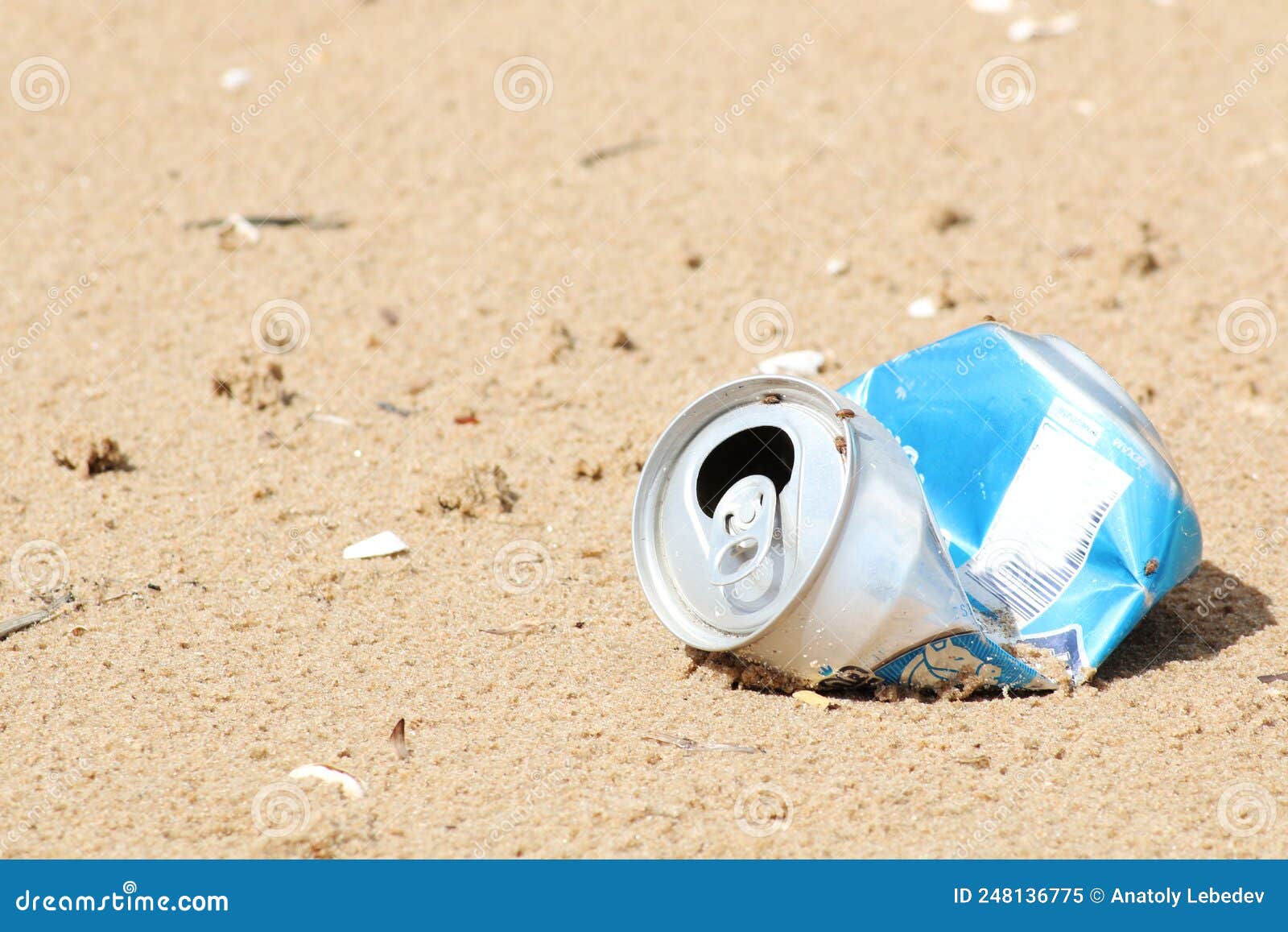Tin Spoiled Can from Drops on a Sandy Beach Stock Image - Image of ...