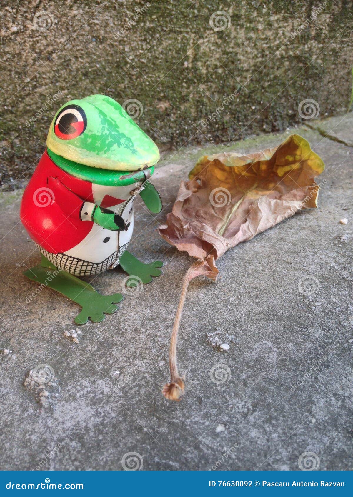Tin toy frog - Romania stock photo. Image of communist - 76630092