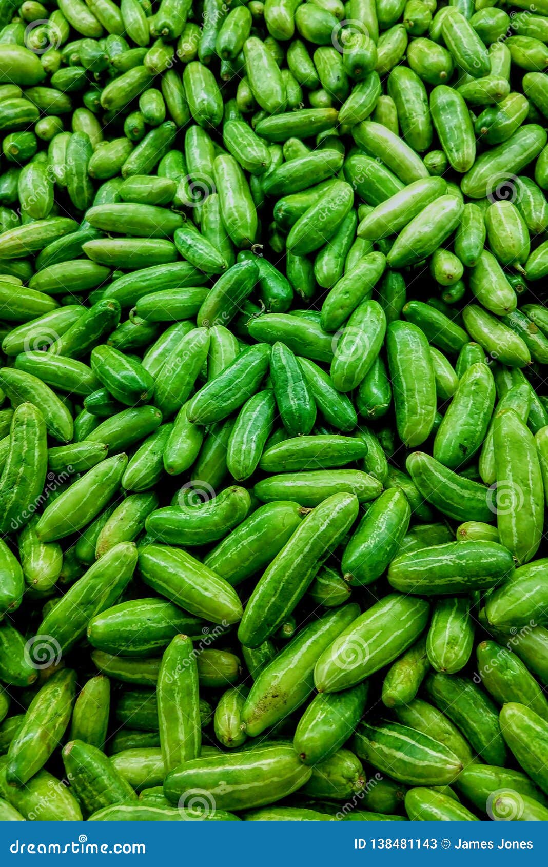 Tindora Vegetables stock image. Image of vegetables - 138481143