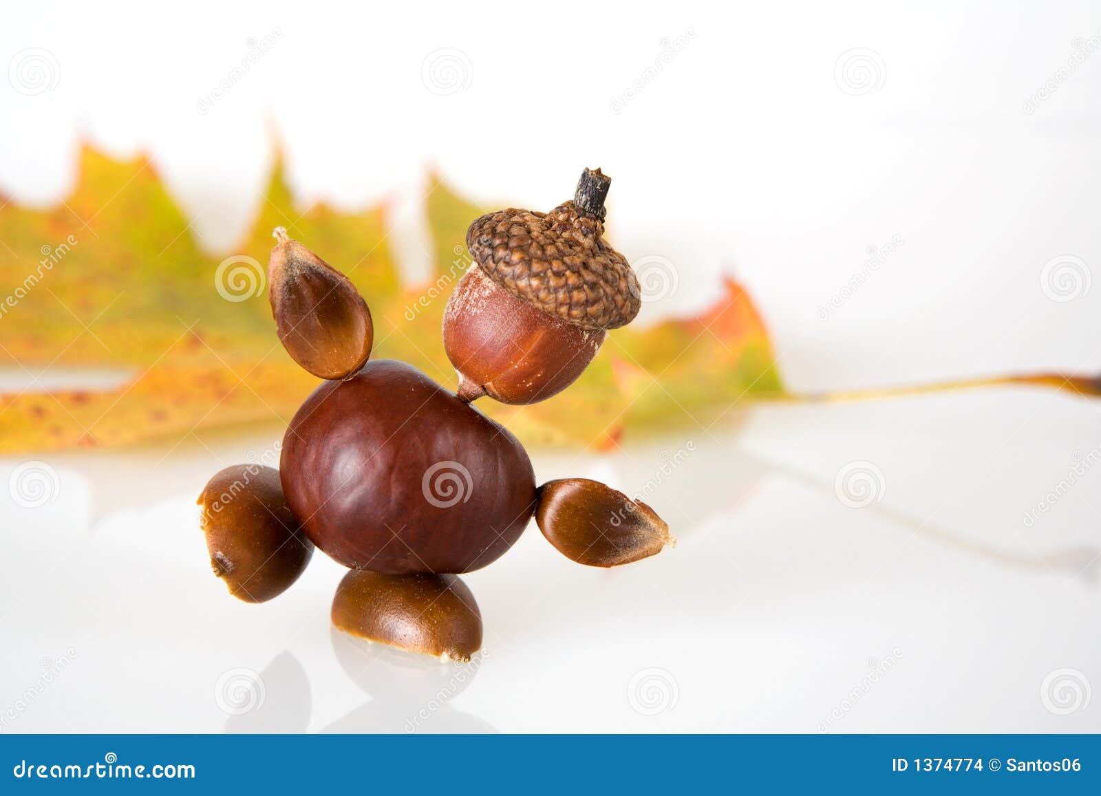 Tinker 2 stock photo. Image of conker, ornamental, bricolage - 1374774