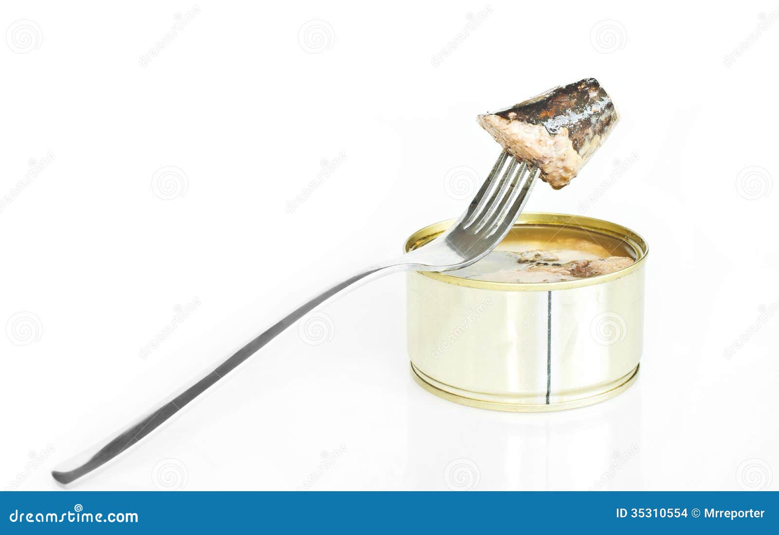 Tinned fish stock photo. Image of open, fastfood, preserve - 35310554