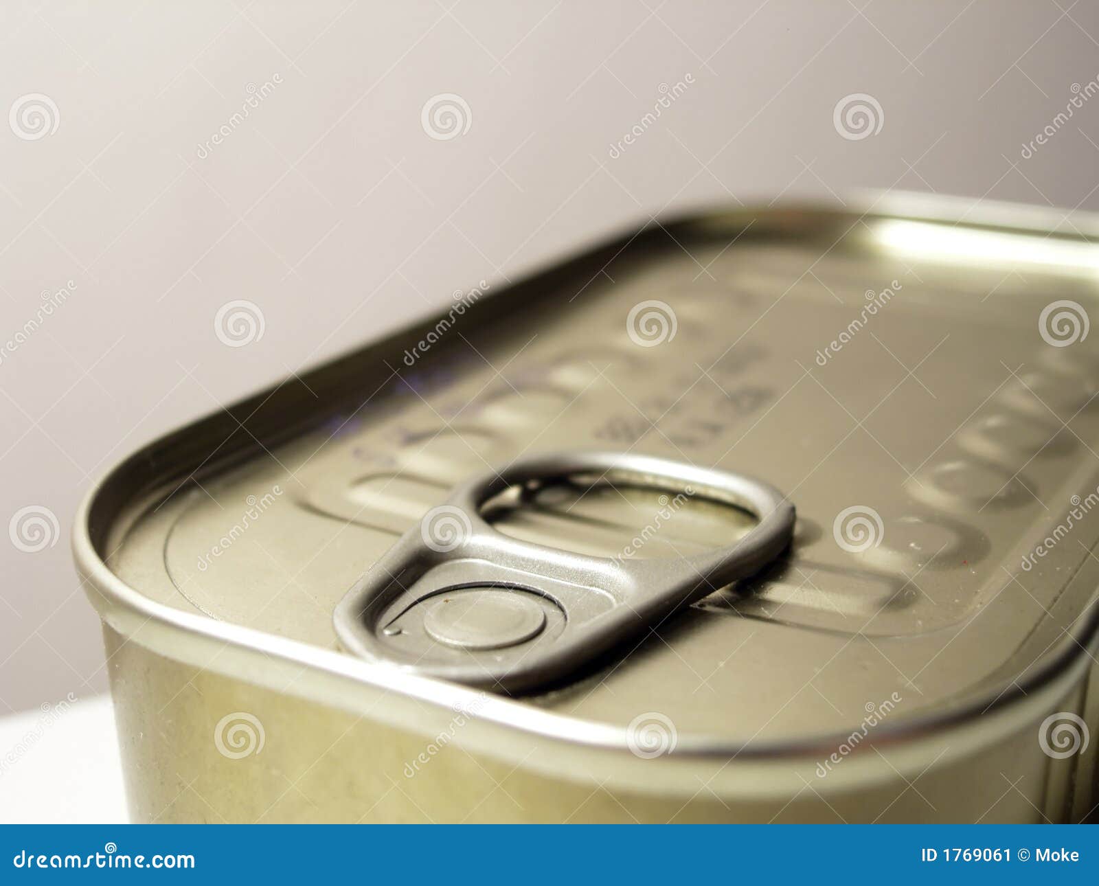 Tinned Food stock image. Image of hollow, shiny, empty - 1769061