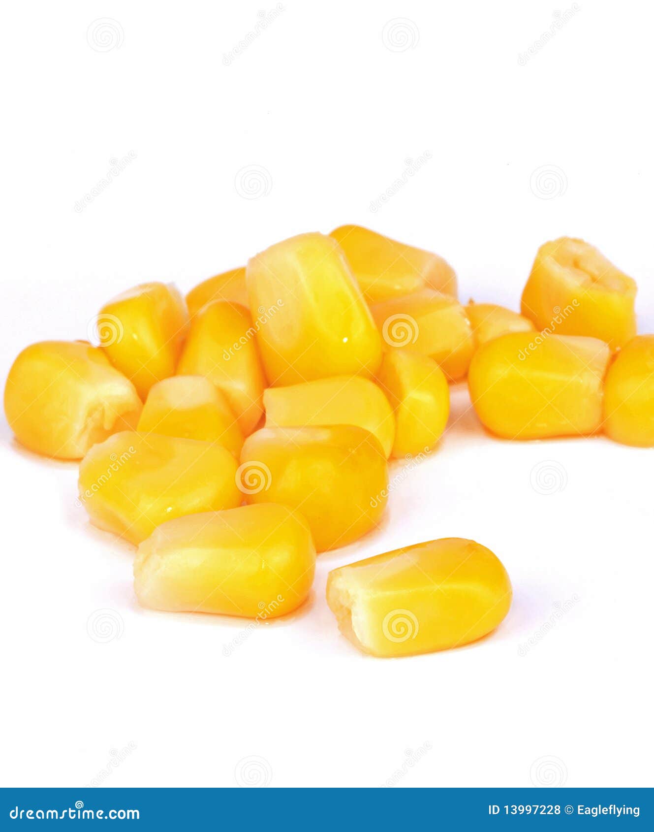 Tinned whole kernel corn stock photo. Image of delicatesse - 13997228