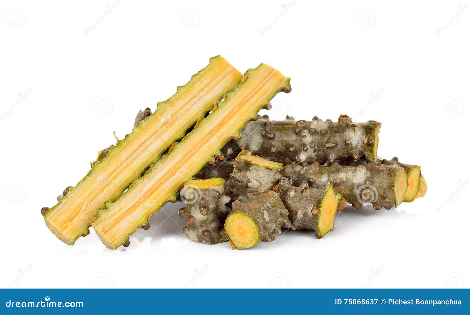 Tinospora Cordifolia Herb Isolated on White Stock Image - Image of ...