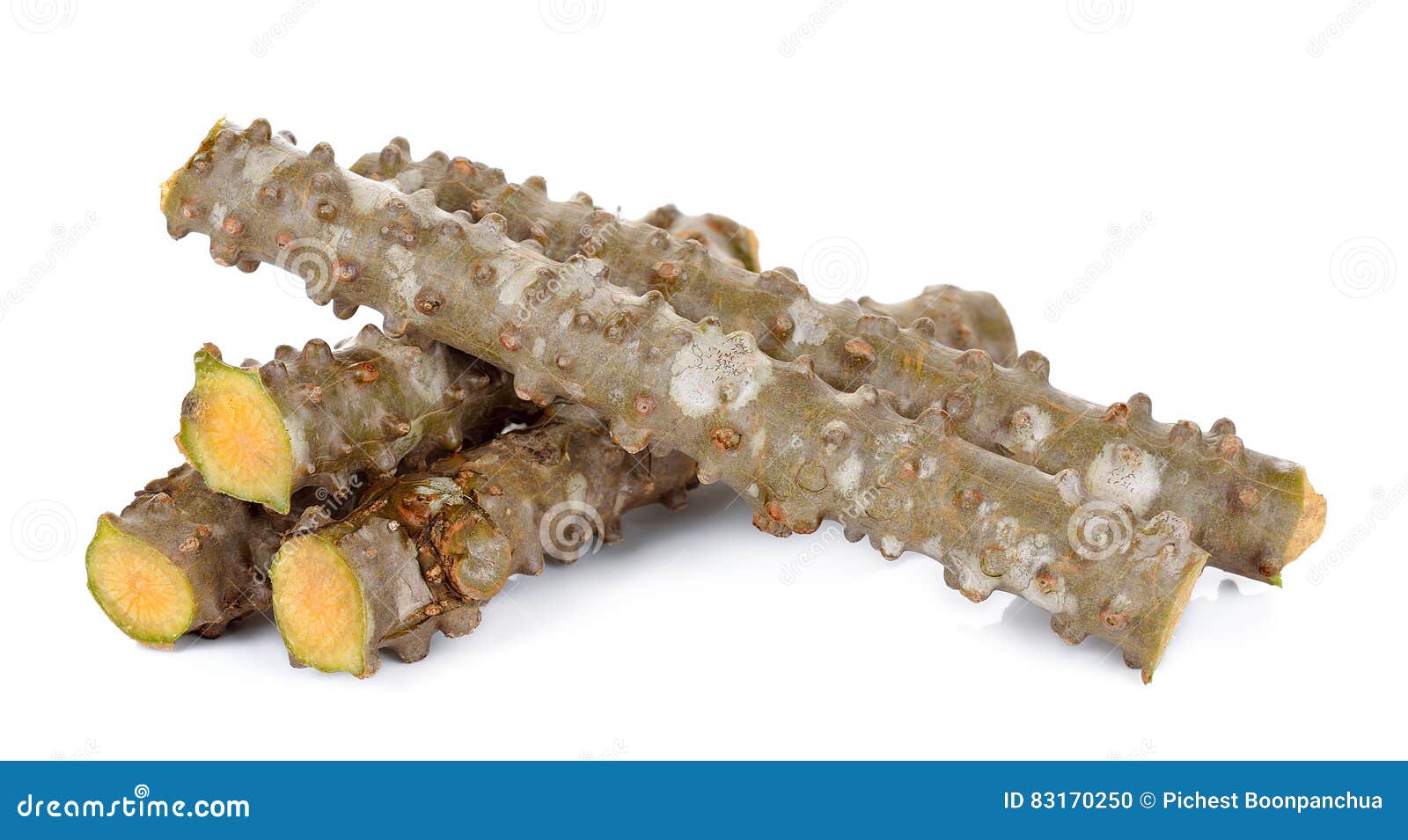 Tinospora Cordifolia Herb Isolated on White Background Stock Photo ...