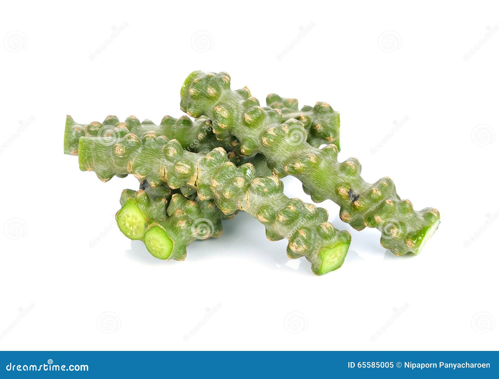 Tinospora cordifolia herb stock image. Image of flavor - 65585005