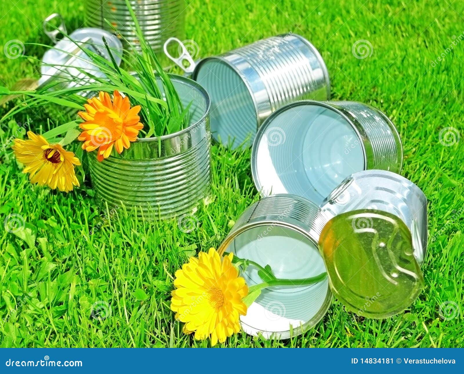 Tins in Grass - Recycling Concept Stock Image - Image of debasement ...