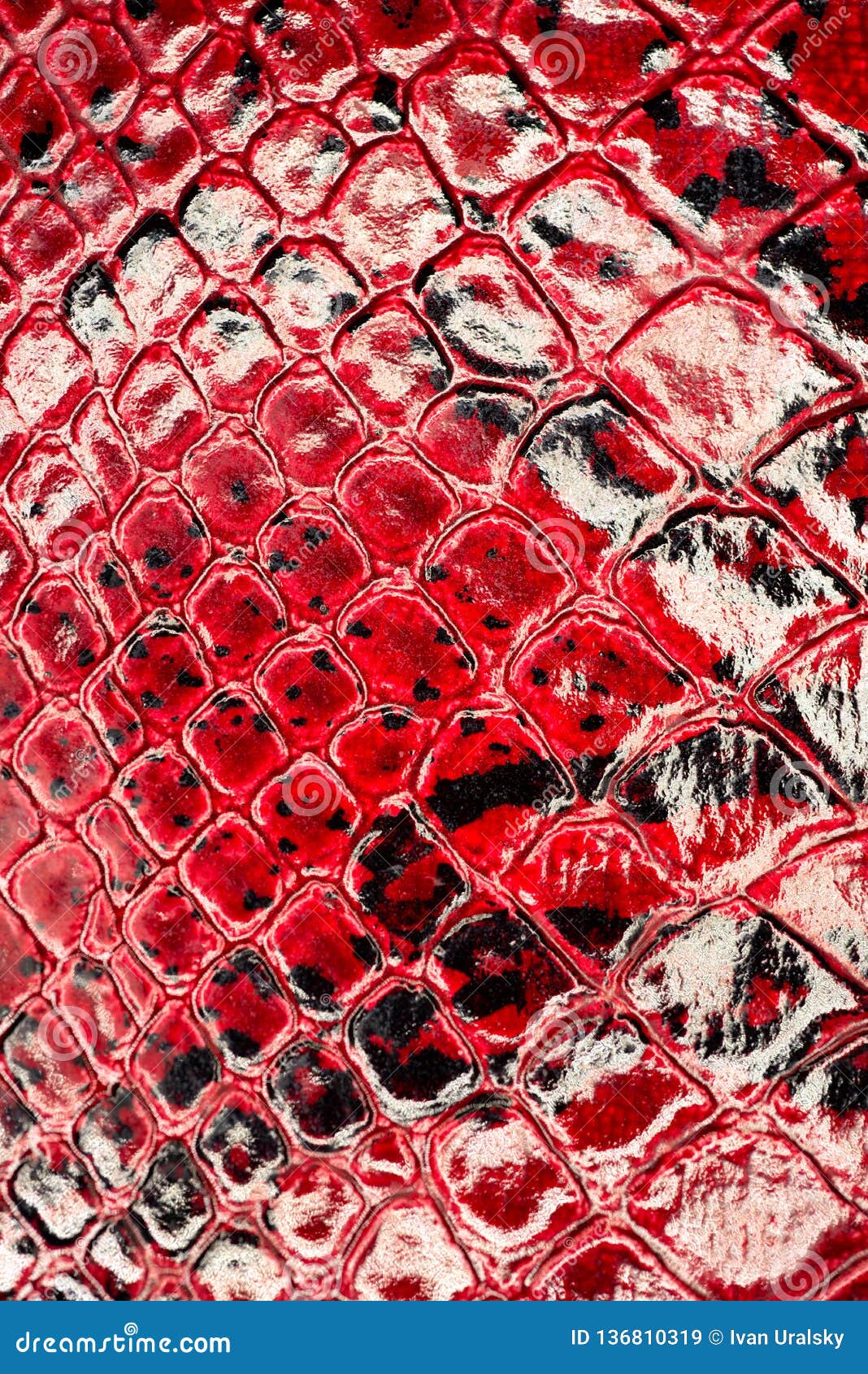 Tint Luxury Red Crocodile Skin Texture, Closeup Stock Image - Image of ...