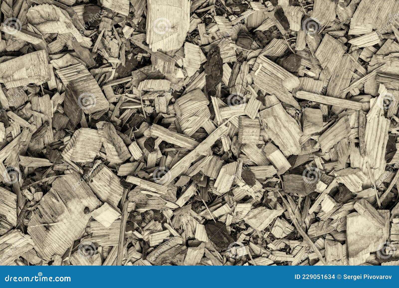 Tinted Wood Chips Background Pattern Natural Gray Base Stock Photo ...