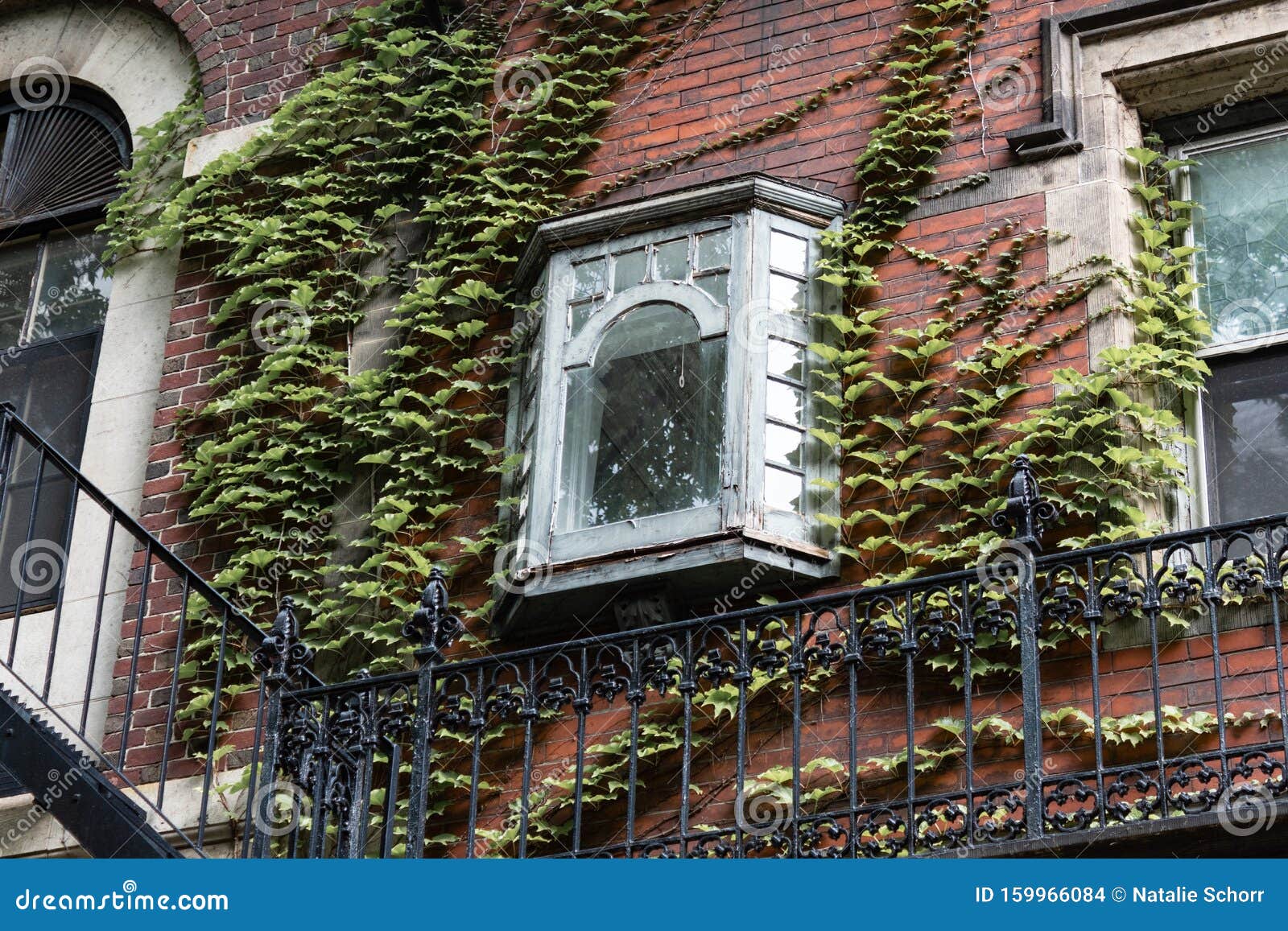 Tiny Bay Window on the Exterior of a Vine Covered Brownstone Stock ...