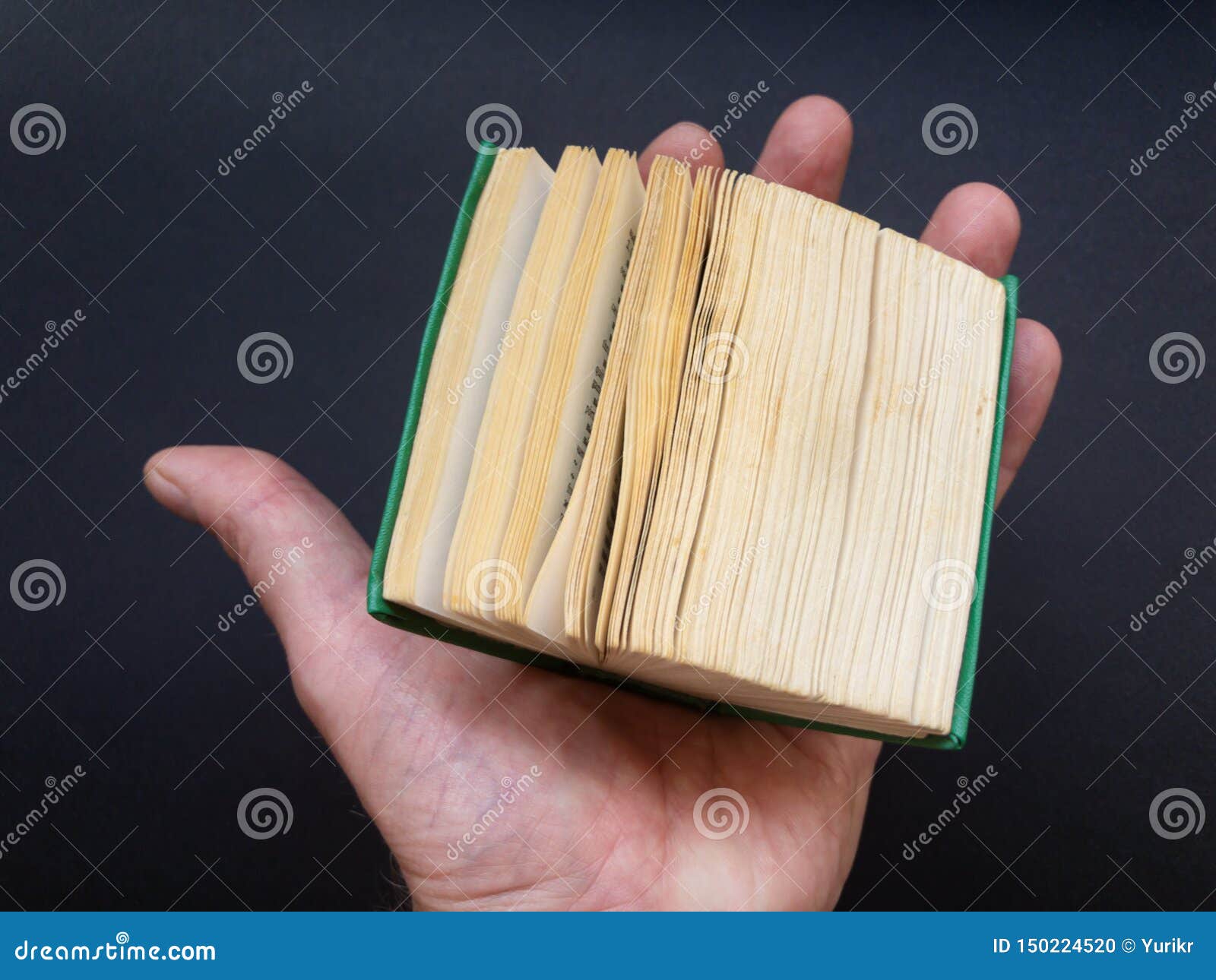 Tiny book on human palm stock photo. Image of book, school - 150224520
