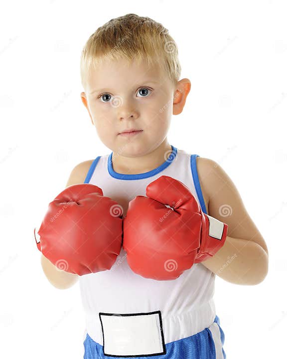 Tiny Boxer stock image. Image of male, person, serious - 27827301