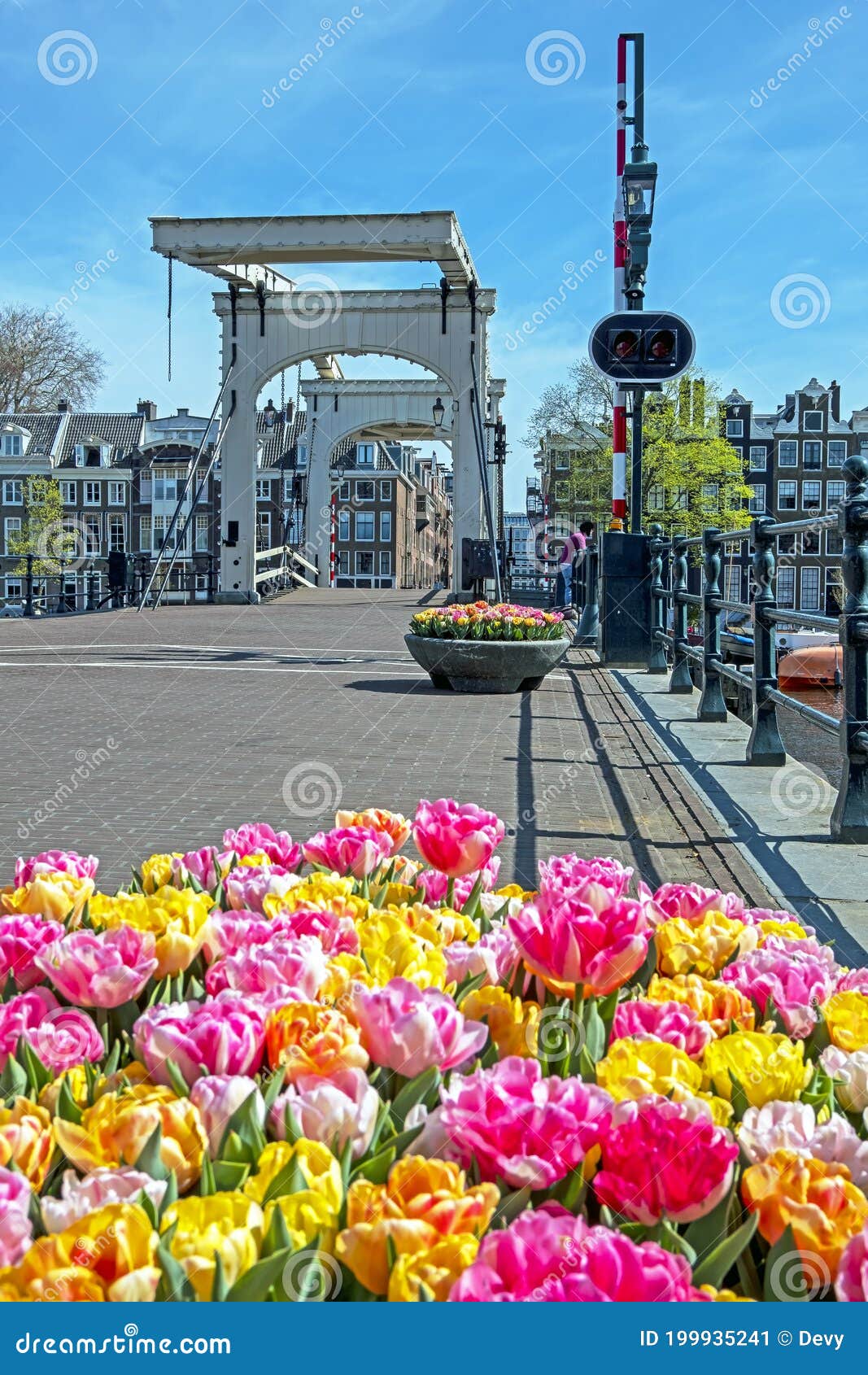 Tiny Bridge in Amsterdam the Netherlands in Springtime Stock Image ...