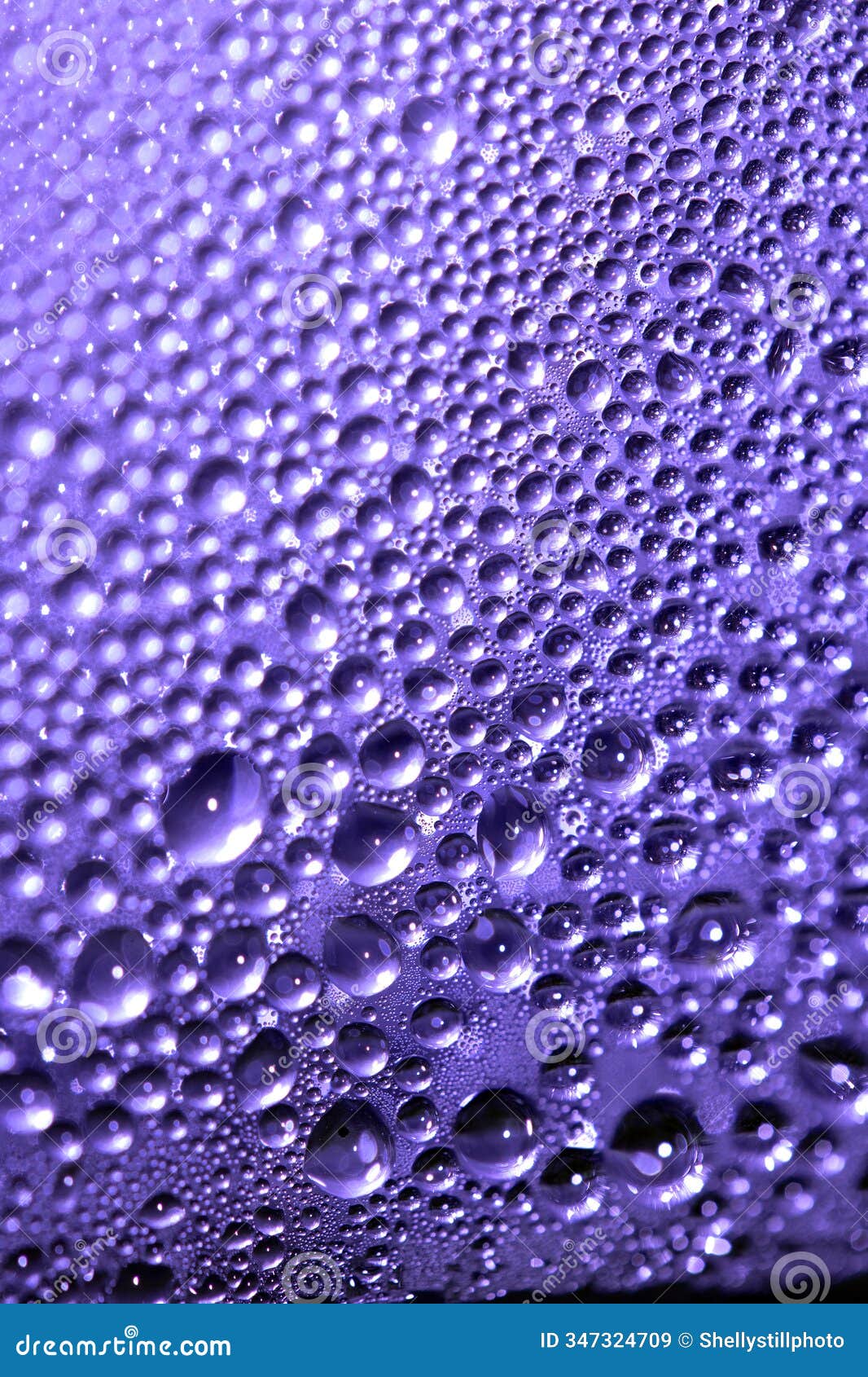 Tiny Bubbles on a Colour Background Condensation Blue Steam Water Stock Image - Image of water ...