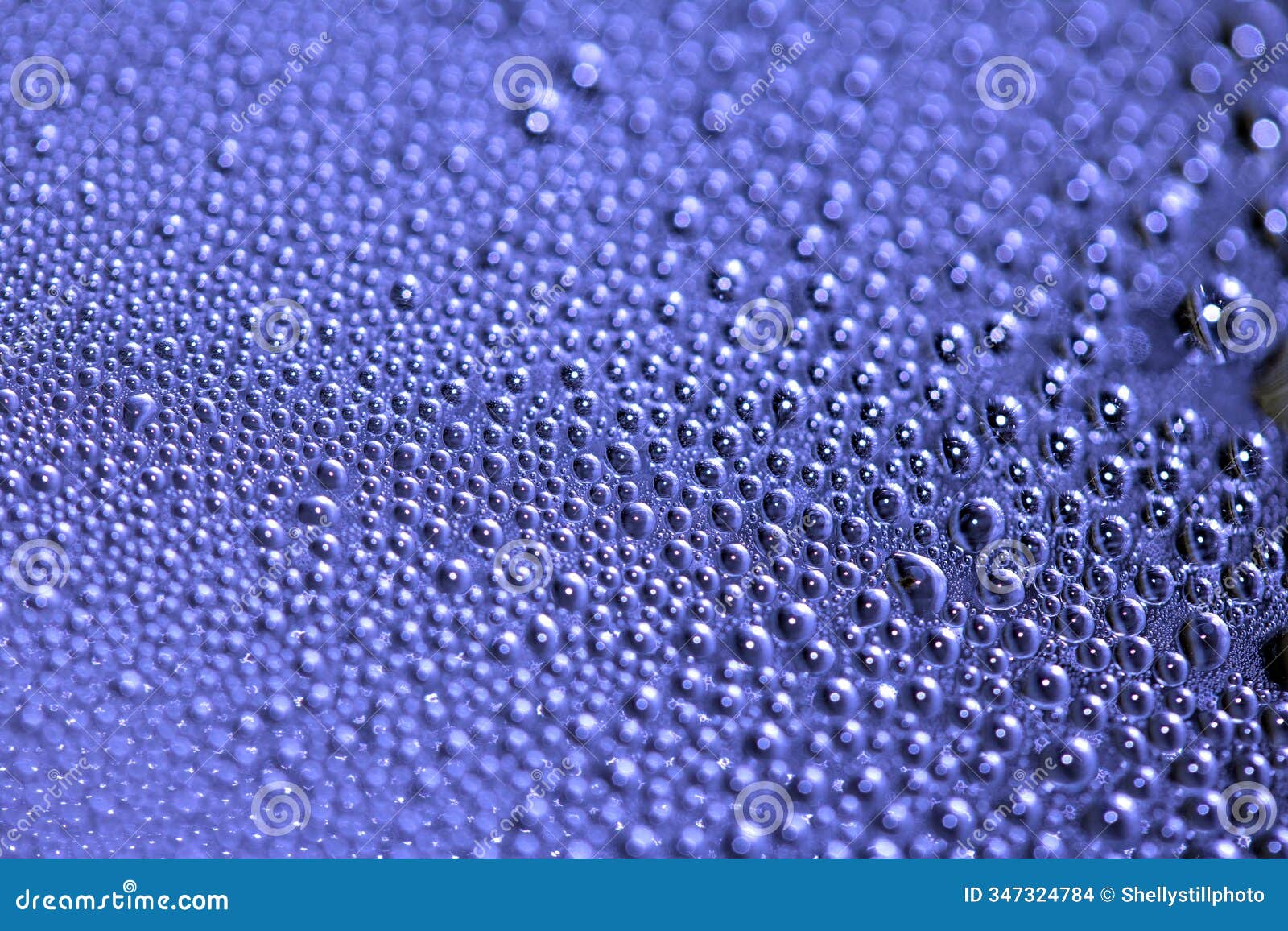 Tiny Bubbles on a Colour Background Condensation Blue Steam Water Stock ...