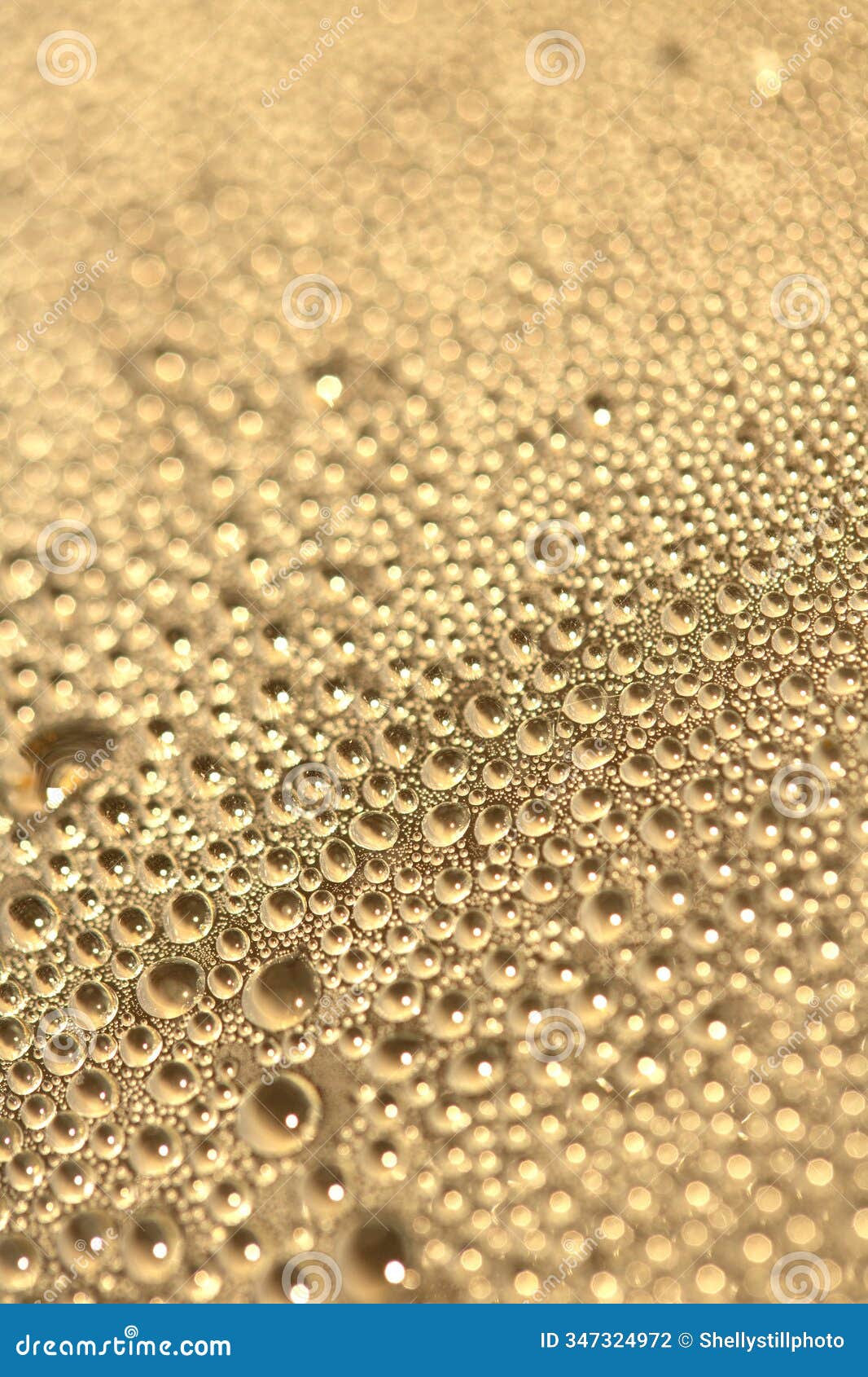 Tiny Bubbles on a Colour Background Condensation Gold Steam Water Stock Photo - Image of clean ...