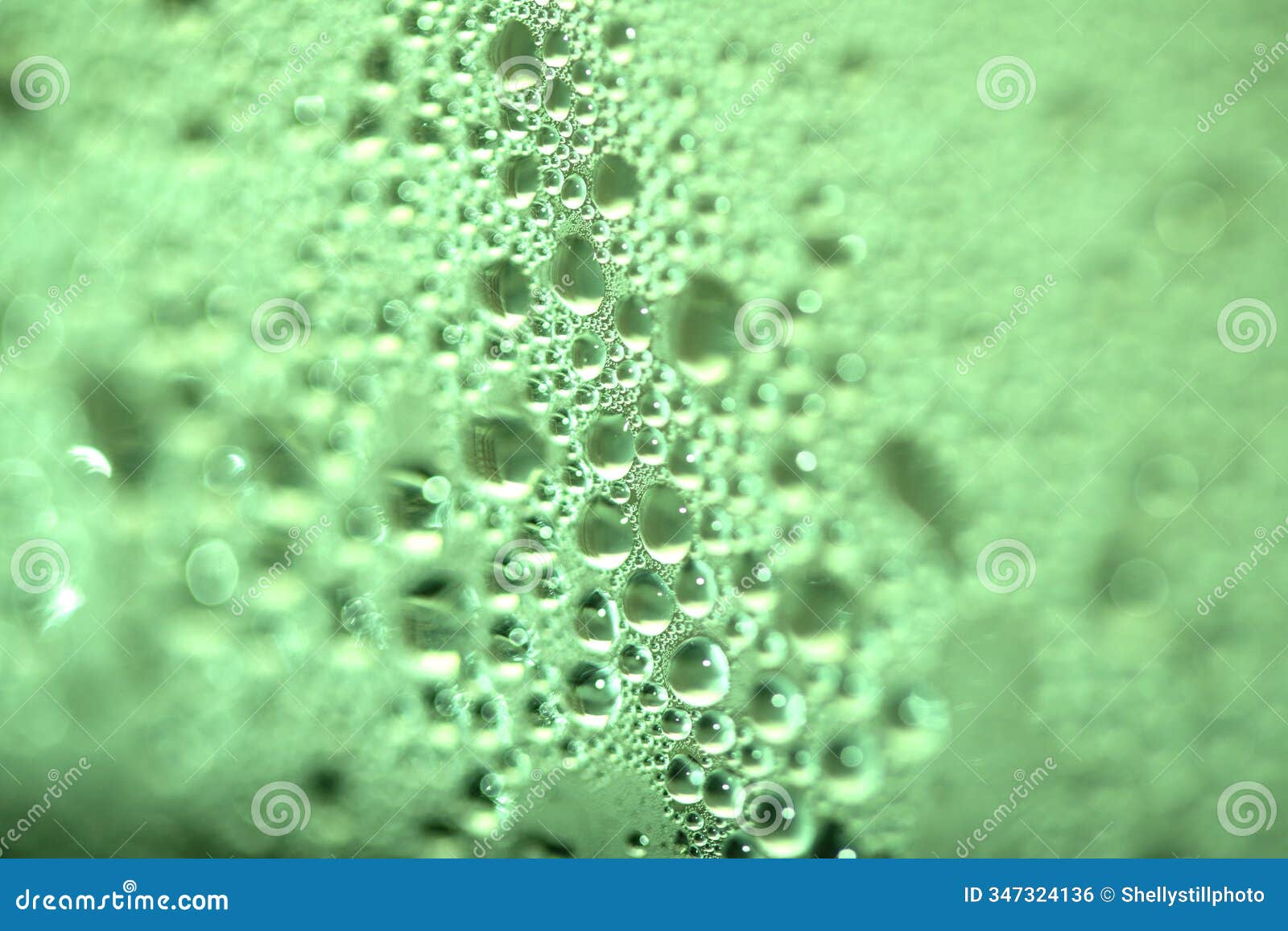 Tiny Bubbles on a Colour Background Condensation Green Steam Water Stock Photo - Image of ...