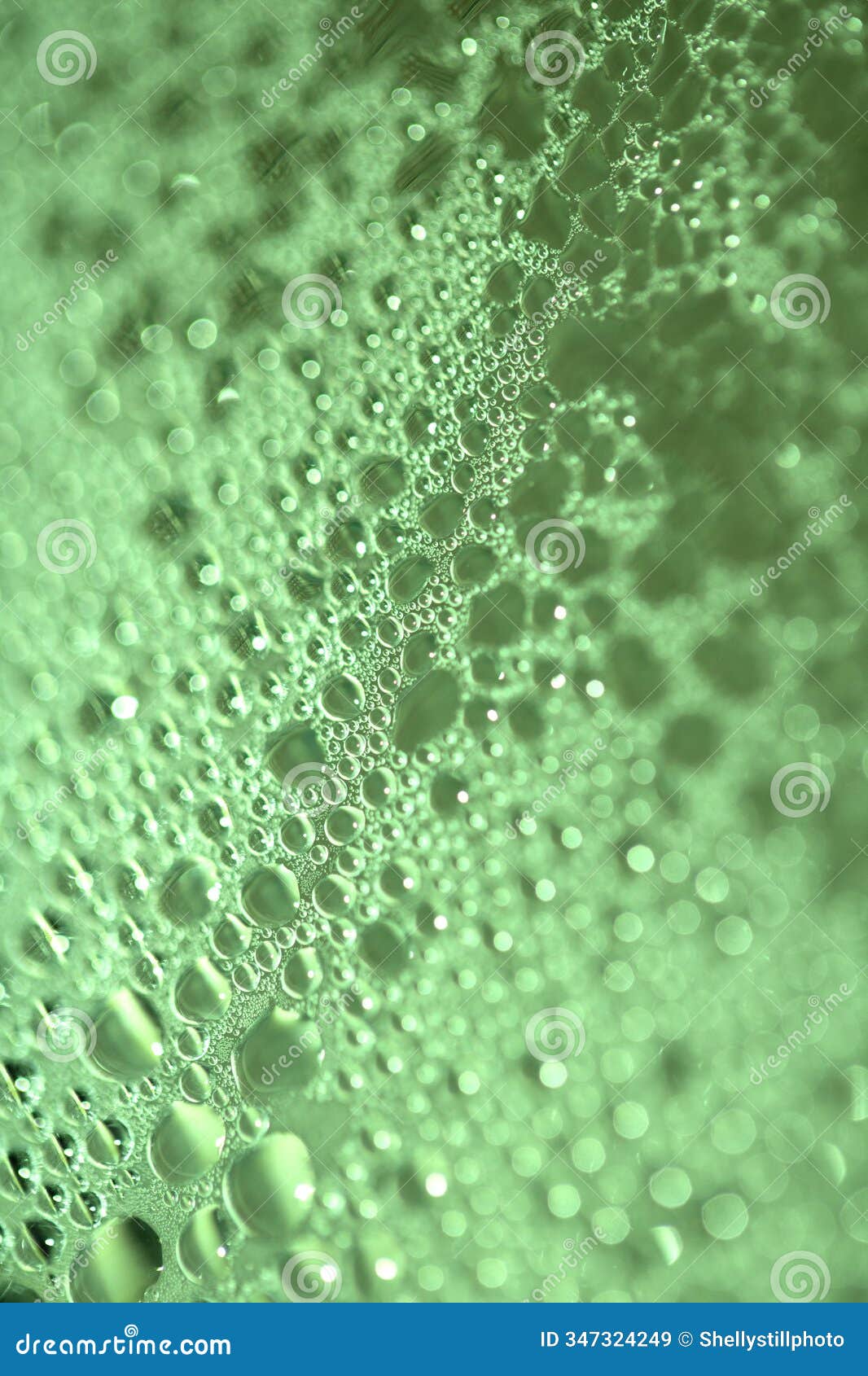 Tiny Bubbles on a Colour Background Condensation Green Steam Water Stock Image - Image of ...