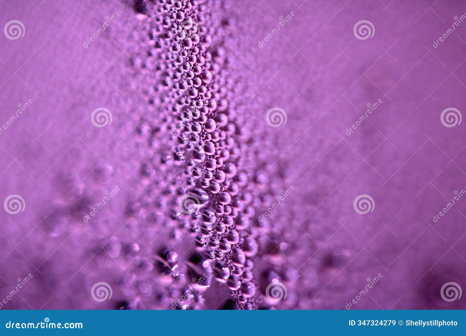 Tiny Bubbles on a Colour Background Condensation Pink Steam Water Stock Image - Image of ...