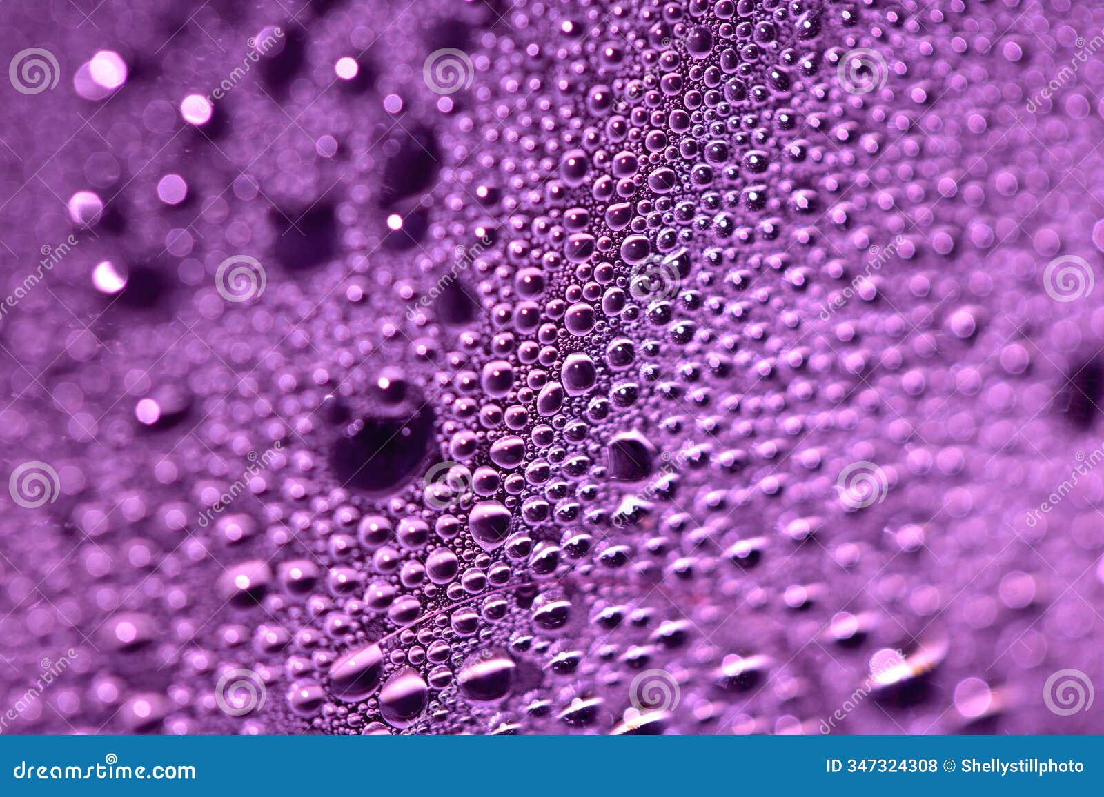 Tiny Bubbles on a Colour Background Condensation Pink Steam Water Stock ...