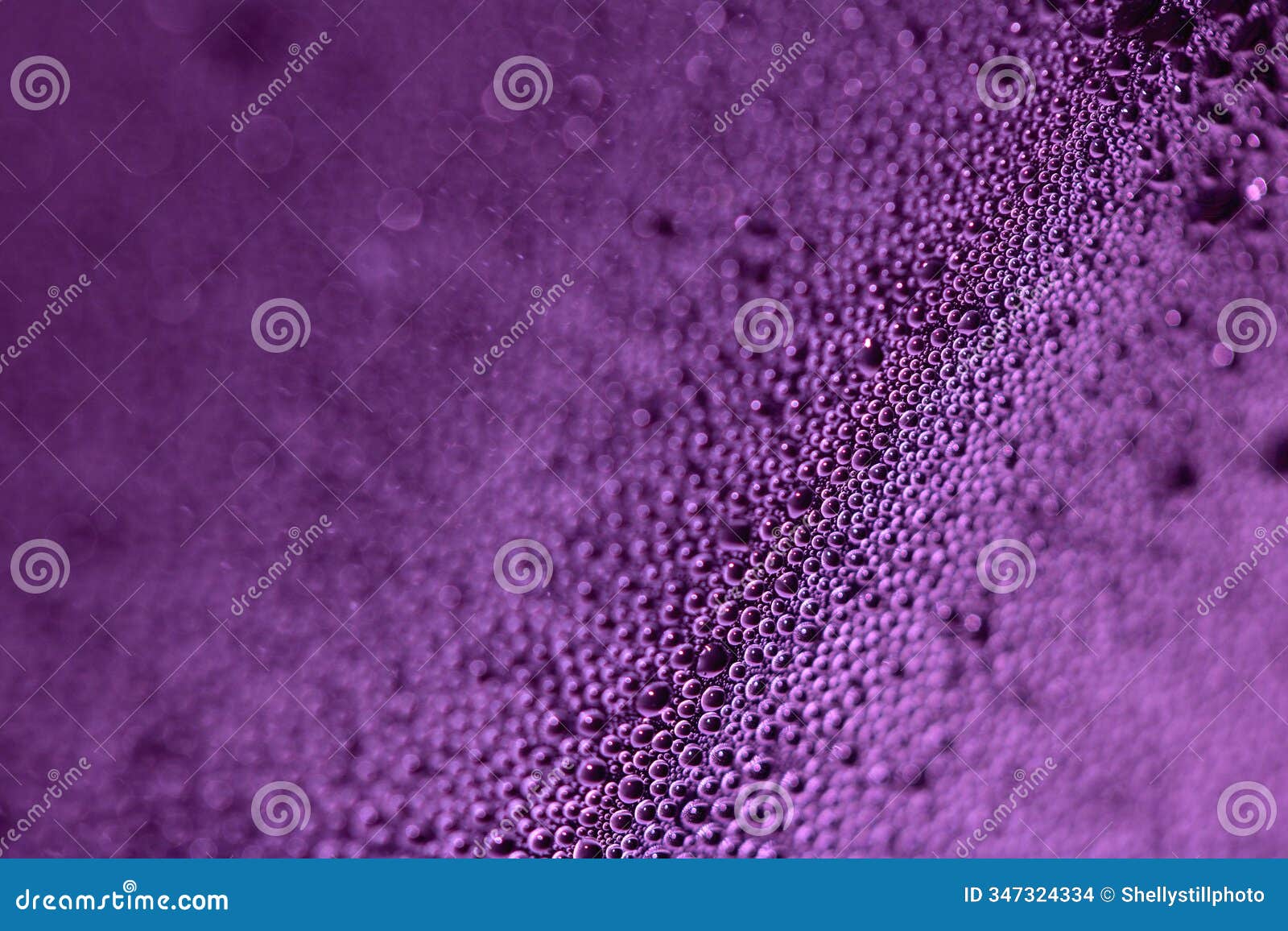 Tiny Bubbles on a Colour Background Condensation Pink Steam Water Stock Photo - Image of ...