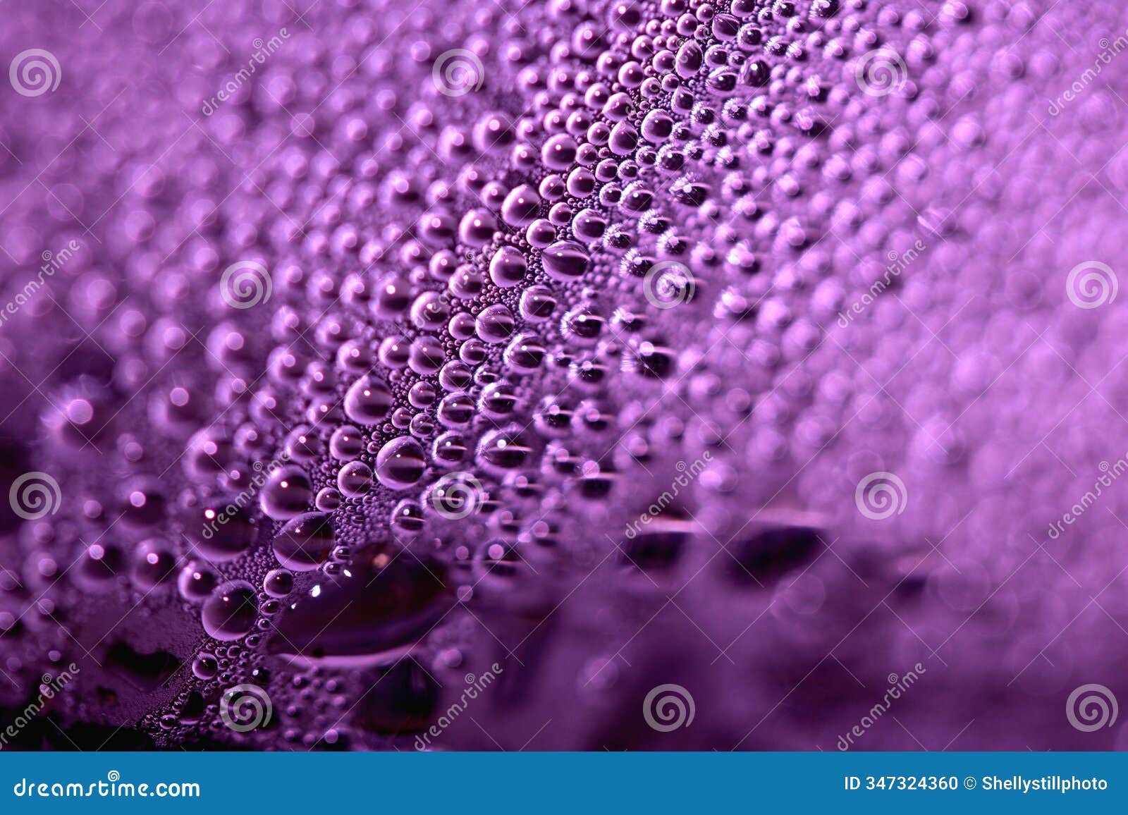 Tiny Bubbles on a Colour Background Condensation Pink Steam Water Stock Photo - Image of pattern ...