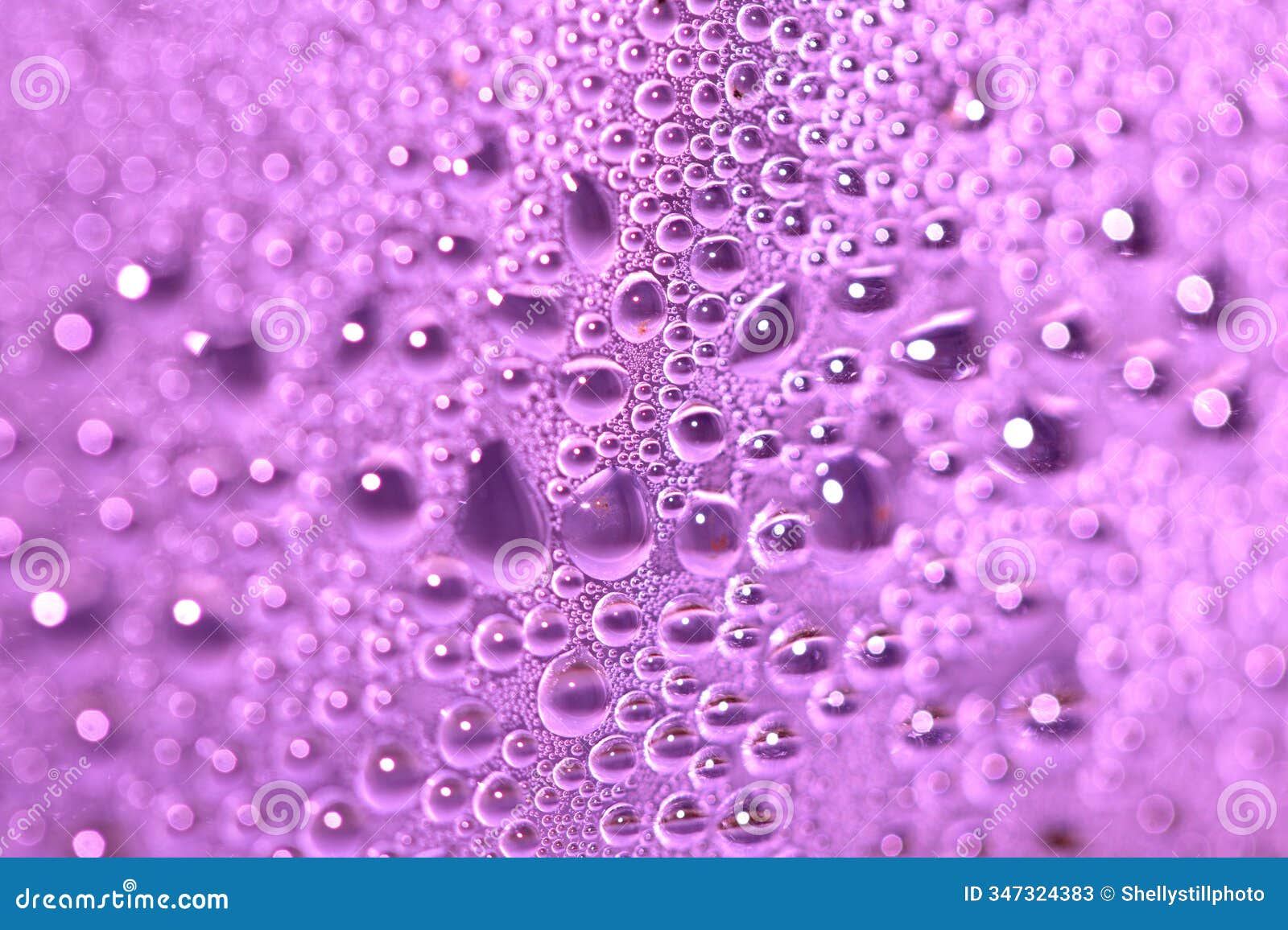 Tiny Bubbles on a Colour Background Condensation Pink Steam Water Stock Image - Image of colour ...