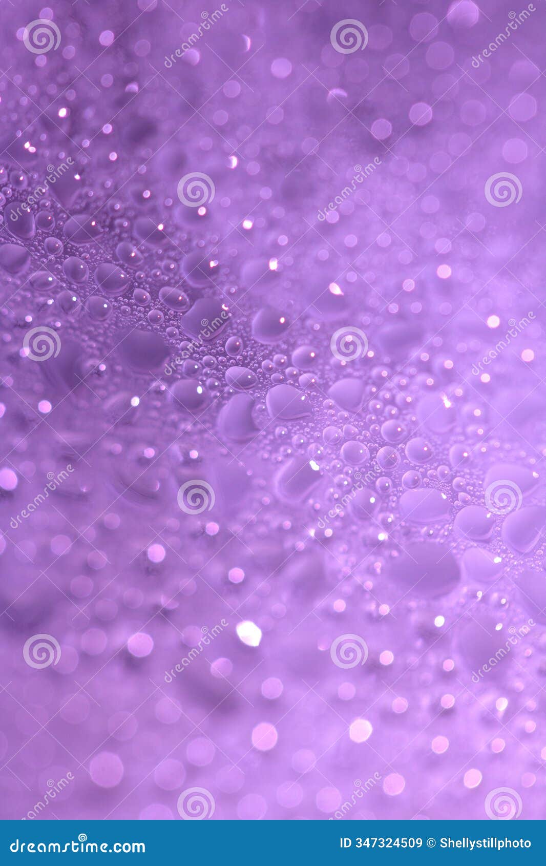 Tiny Bubbles on a Colour Background Condensation Pink Steam Water Stock Image - Image of ...