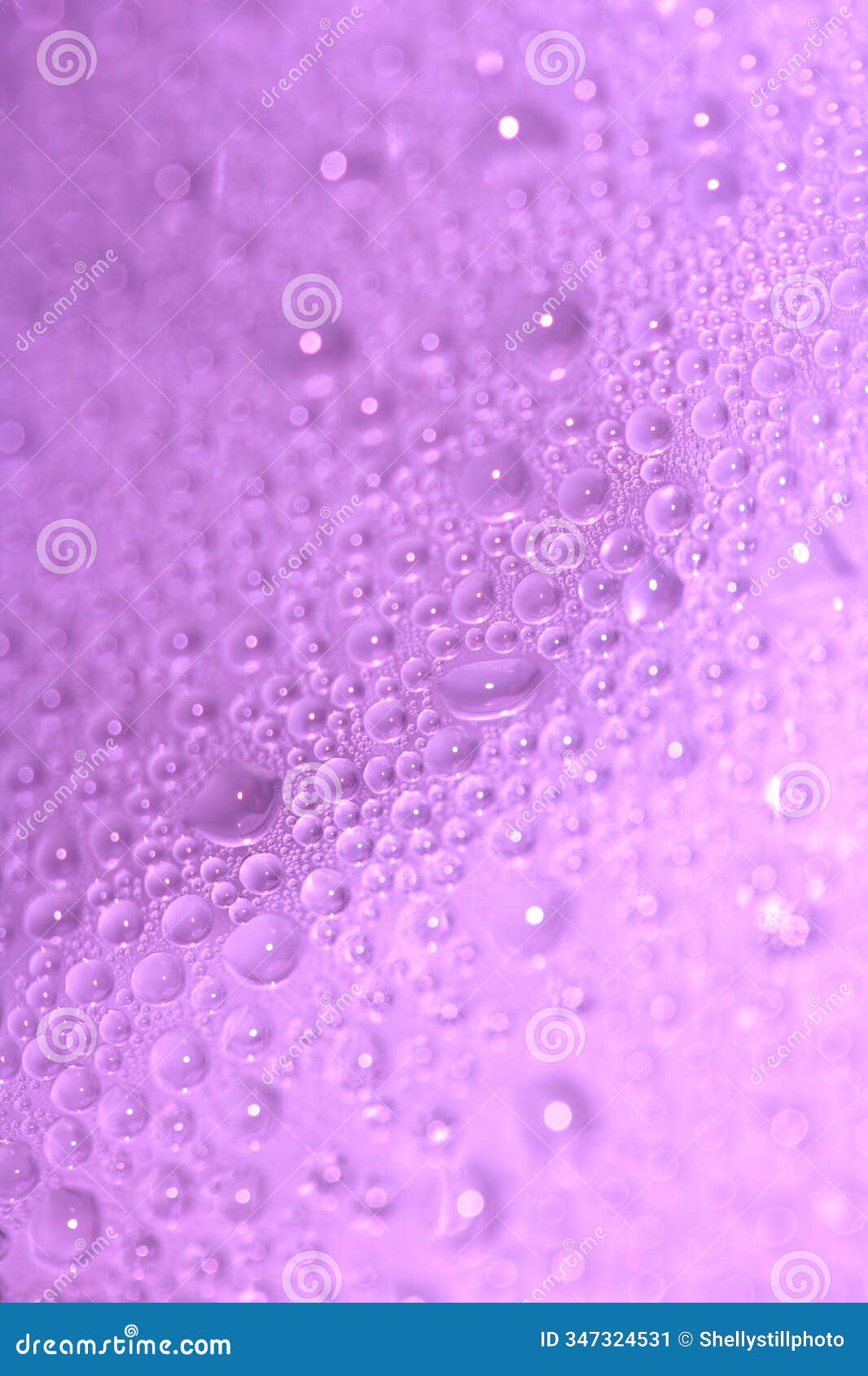 Tiny Bubbles on a Colour Background Condensation Pink Steam Water Stock Image - Image of shiny ...