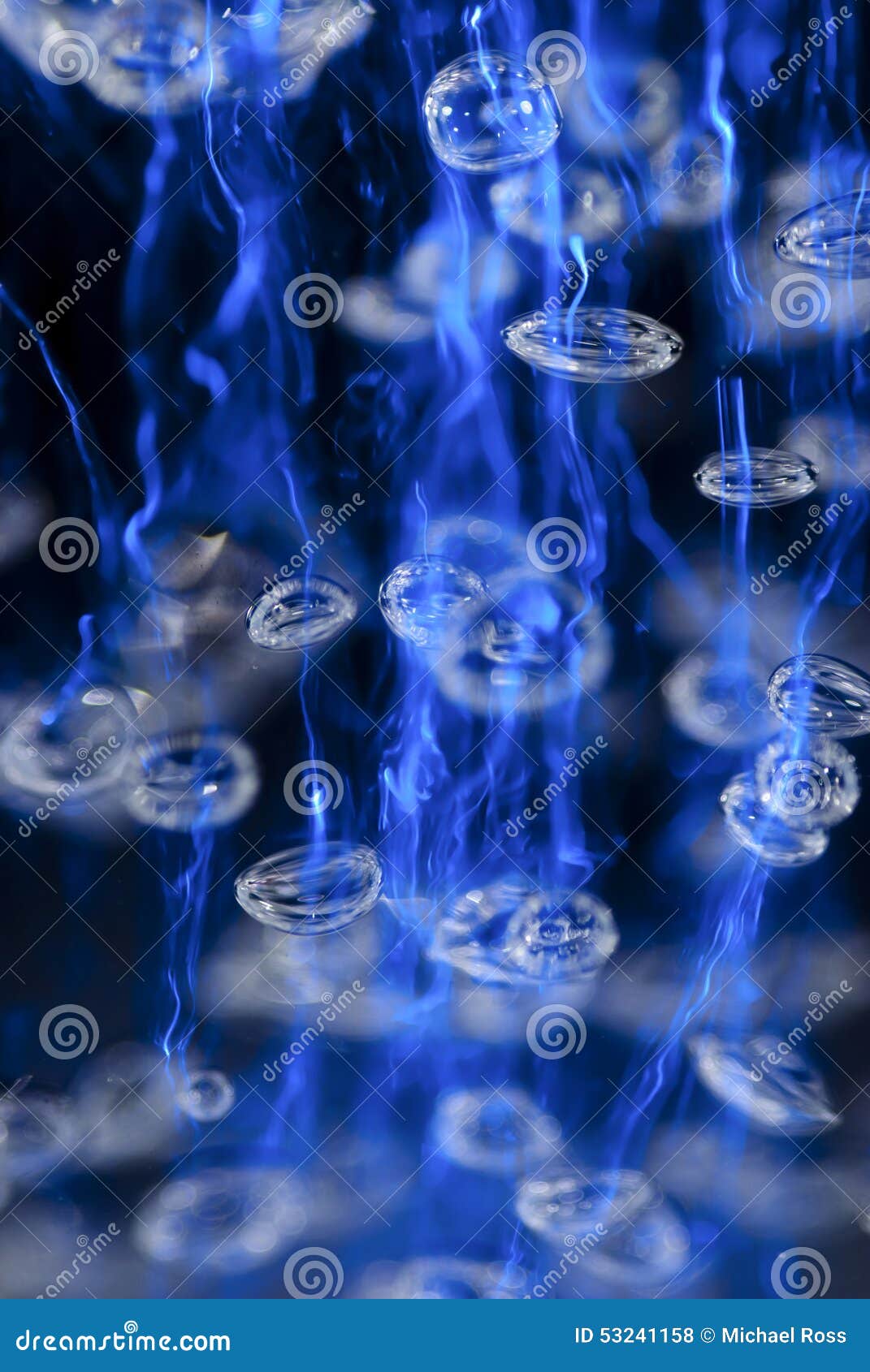 Tiny Bubbles stock photo. Image of fresh, refreshing - 53241158