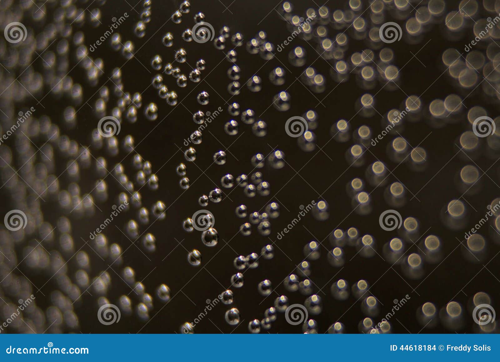Tiny bubbles stock photo. Image of abstract, bokeh, unique - 44618184
