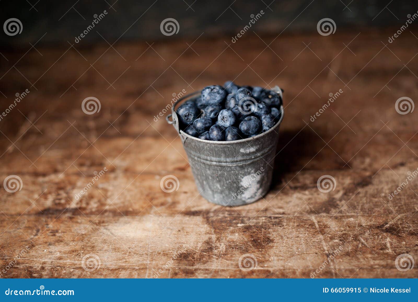 Tiny Bucket of Blueberries stock image. Image of metal - 66059915