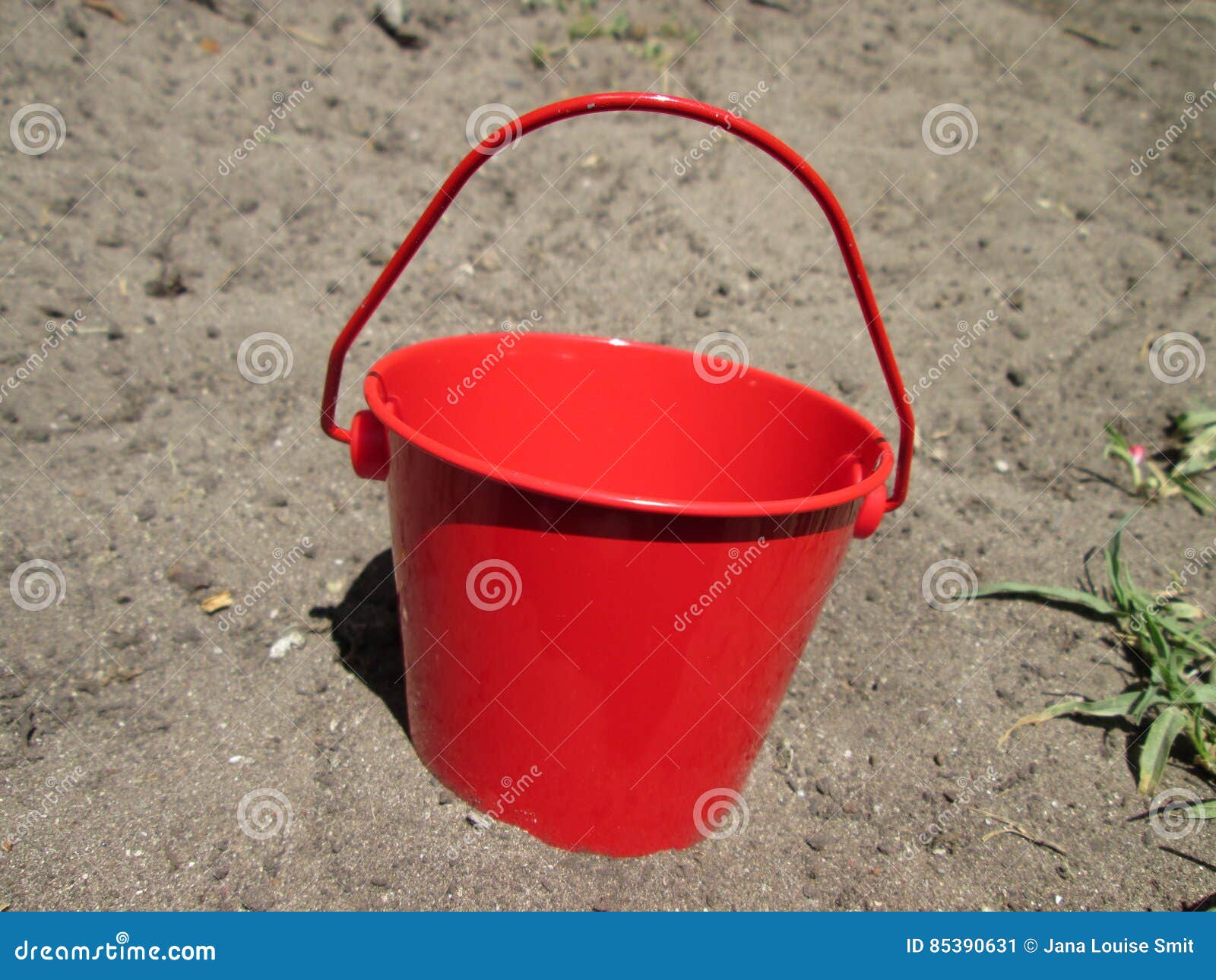 Tiny Bucket. stock image. Image of color, nature, beautiful - 85390631
