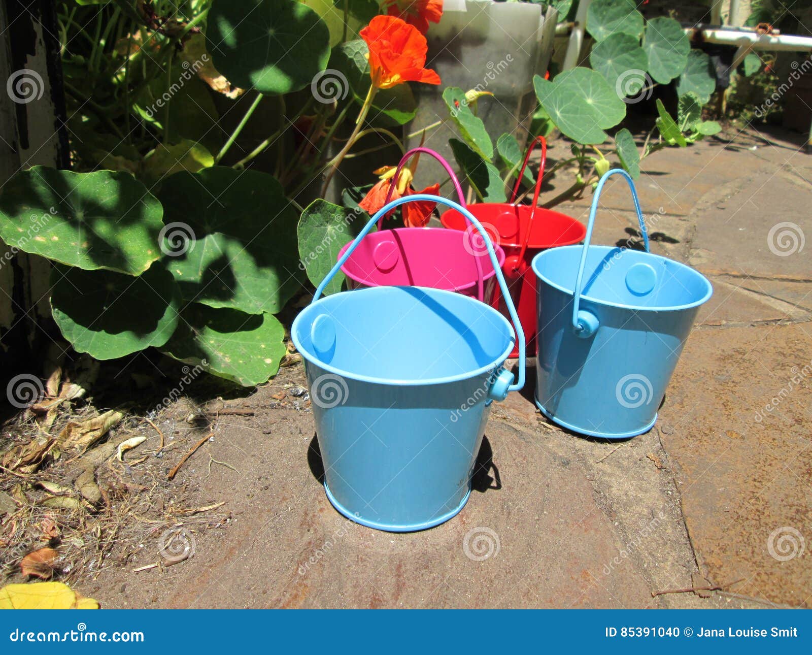 Tiny Buckets. stock photo. Image of gardening, decorative - 85391040