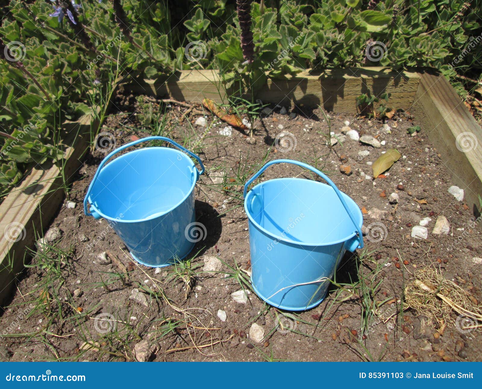 Tiny Buckets. stock image. Image of hobby, household - 85391103
