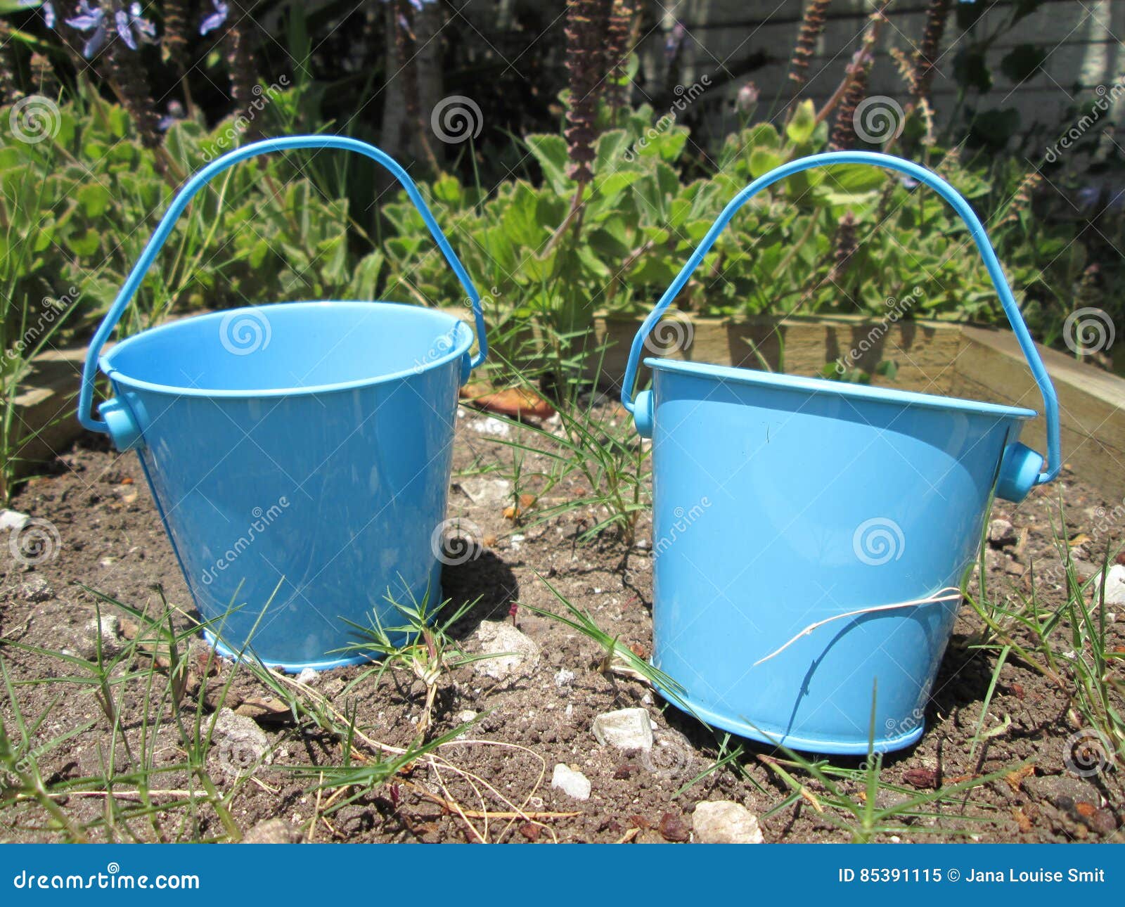 Tiny Buckets. stock image. Image of mini, blue, container - 85391115