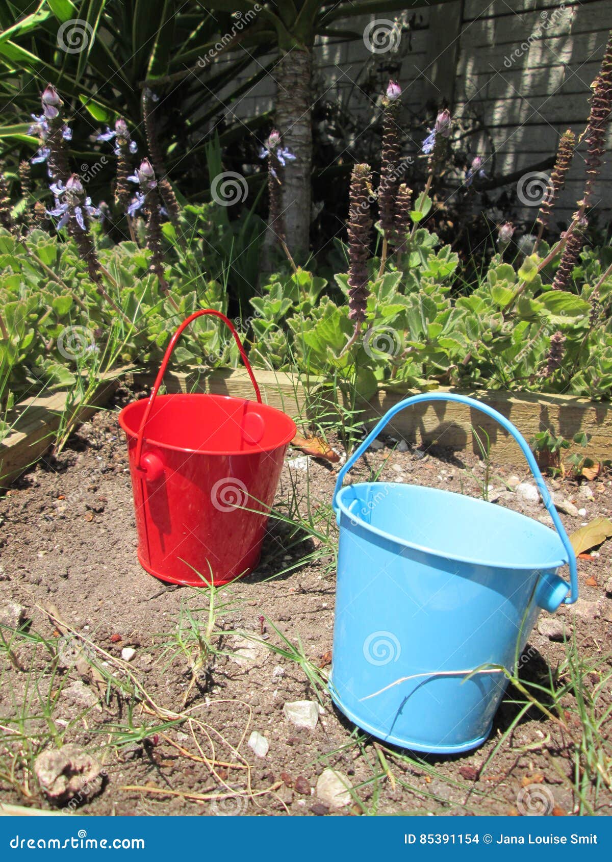 Tiny Buckets. stock photo. Image of bucket, collection - 85391154