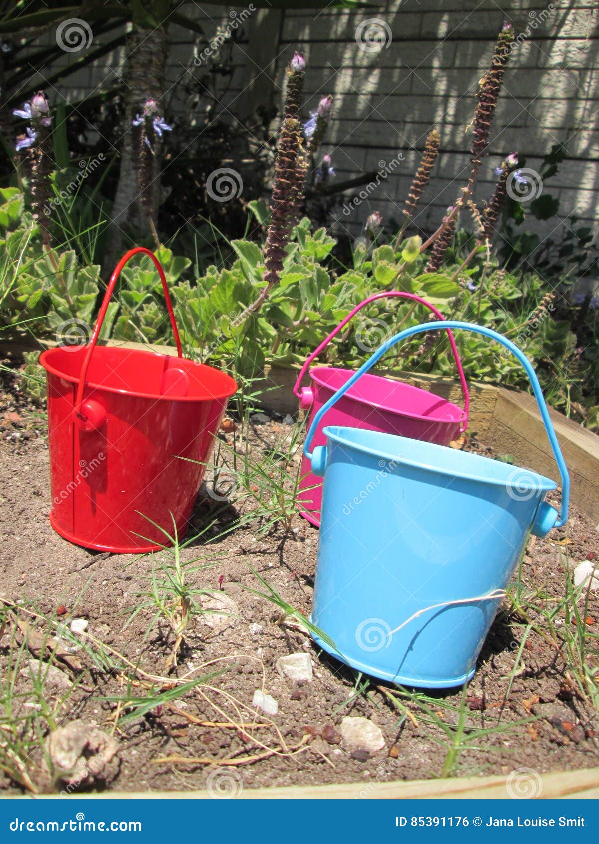 Tiny Buckets. stock photo. Image of miniature, bucket - 85391176