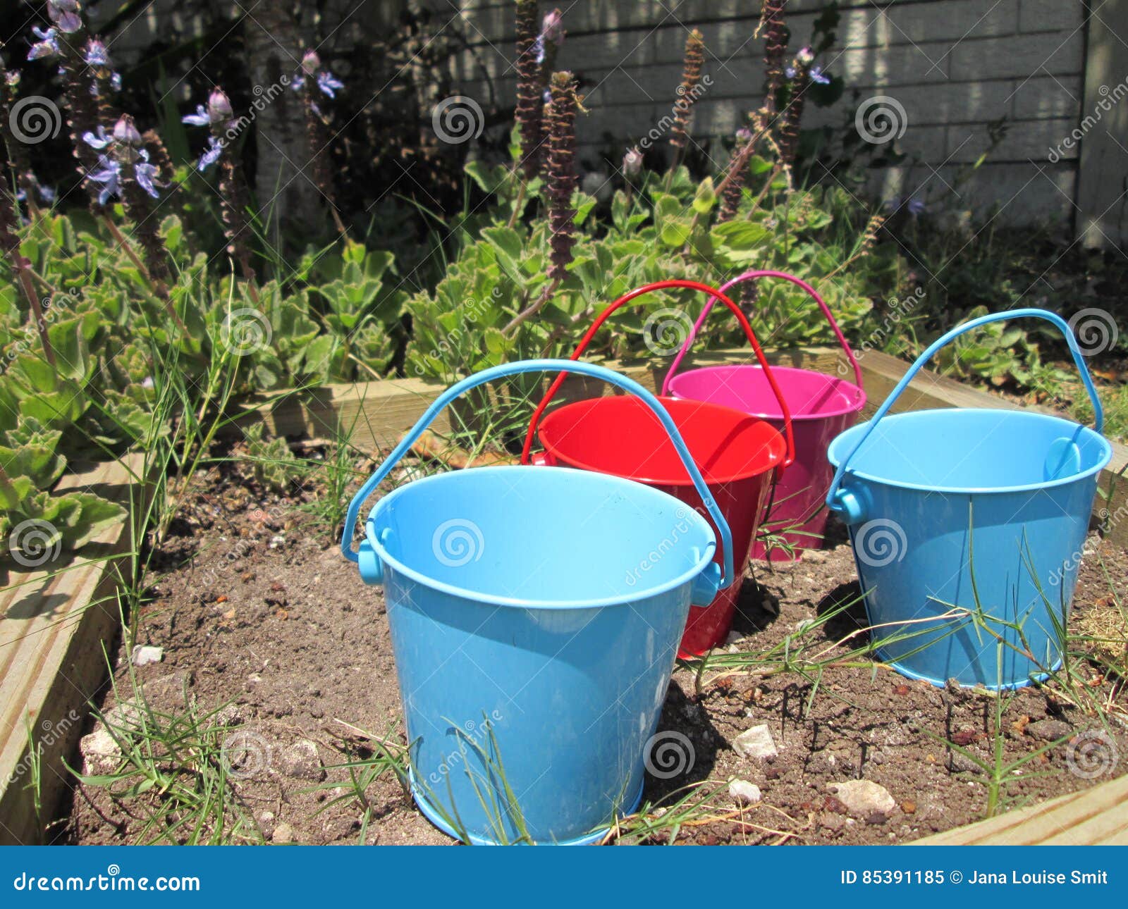 Tiny Buckets. stock image. Image of group, collection - 85391185
