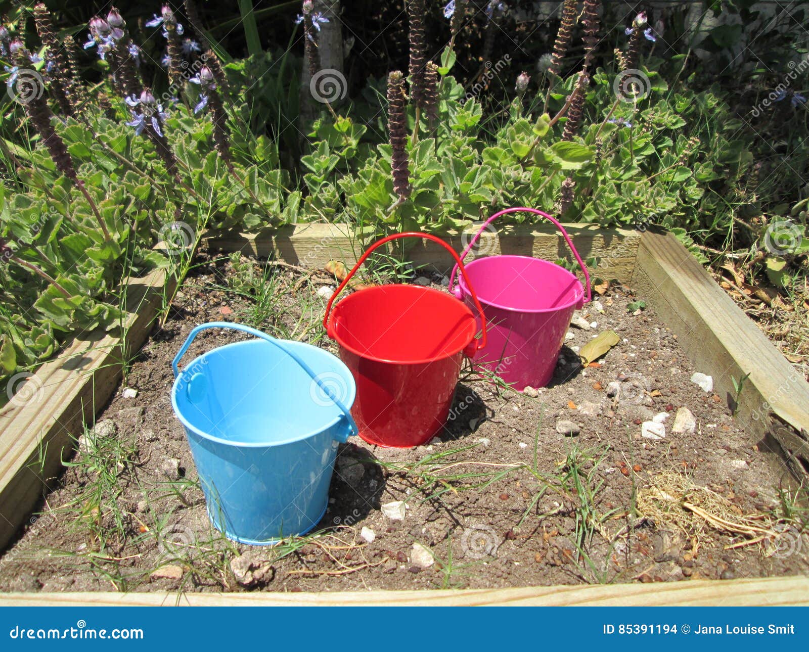 Tiny Buckets. stock photo. Image of blue, home, gardening - 85391194