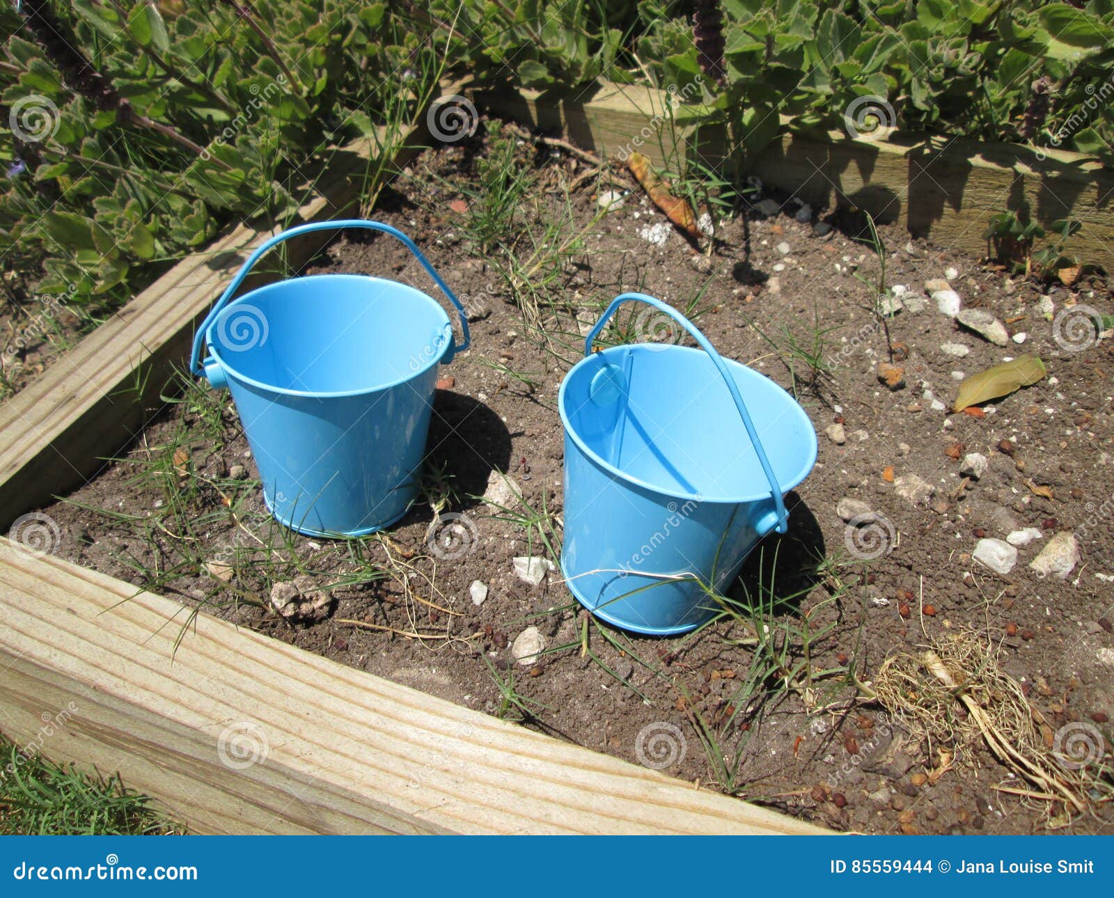 Tiny Buckets. stock photo. Image of cheerful, handle - 85559444
