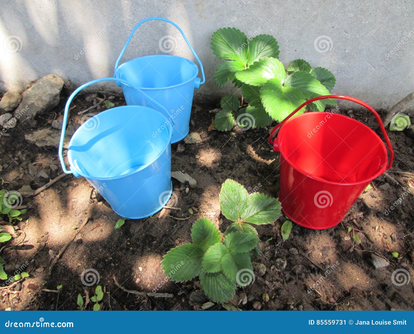 Tiny Buckets. stock image. Image of mini, cheerful, antique - 85559731