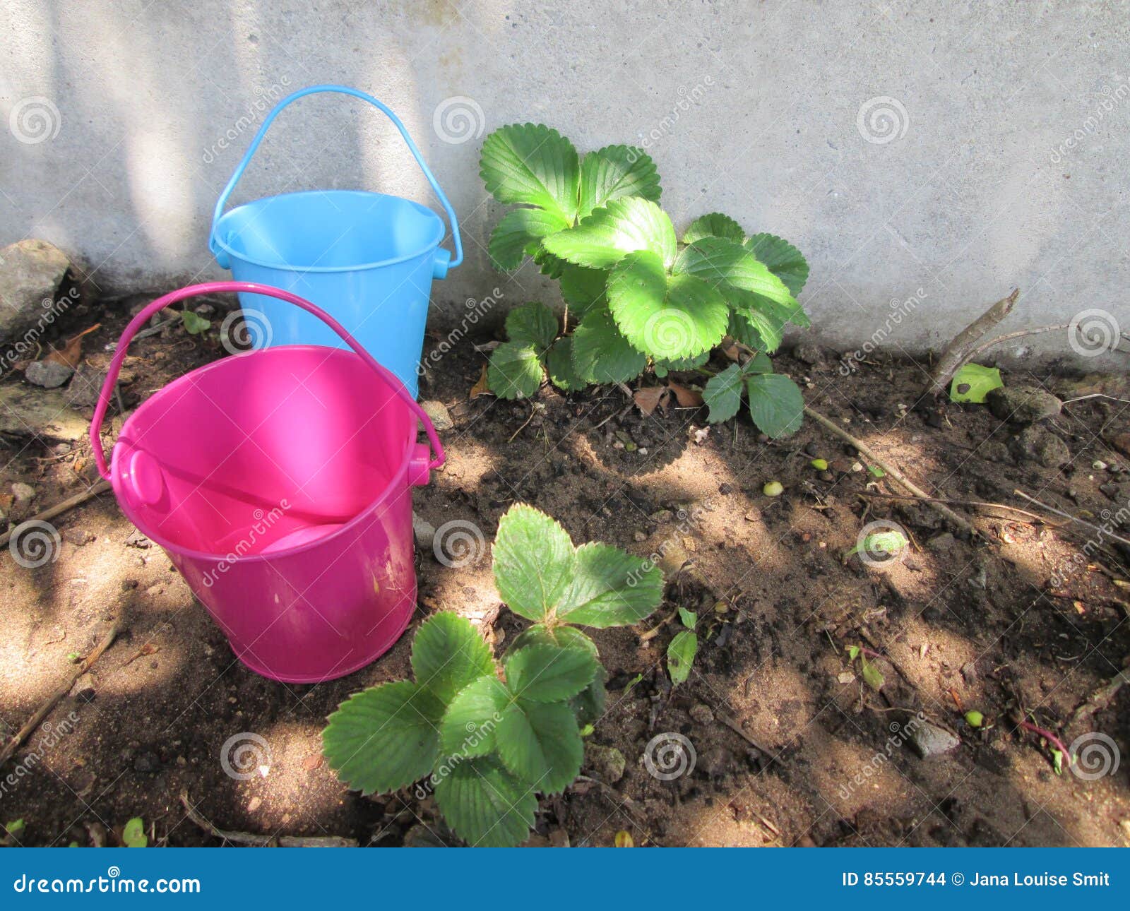 Tiny Buckets. stock photo. Image of colored, empty, metal - 85559744