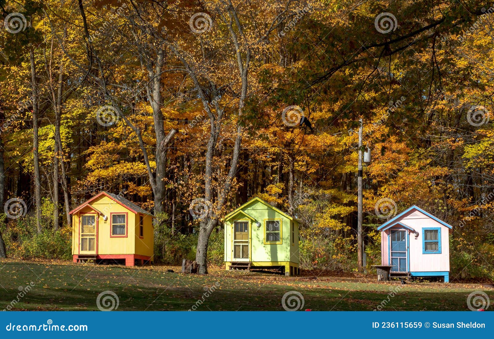 Tiny Colorful Cabins for Rent Stock Image - Image of leaves, homes ...