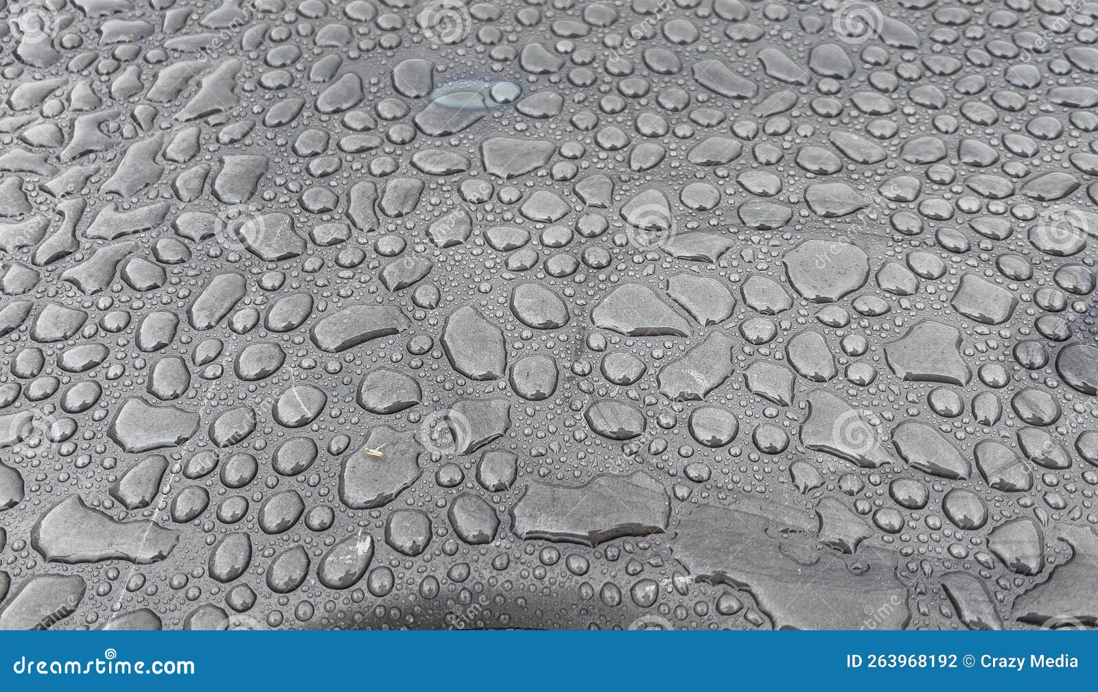 Tiny Community and Togetherness Formed by Many Drops of Water Stock ...