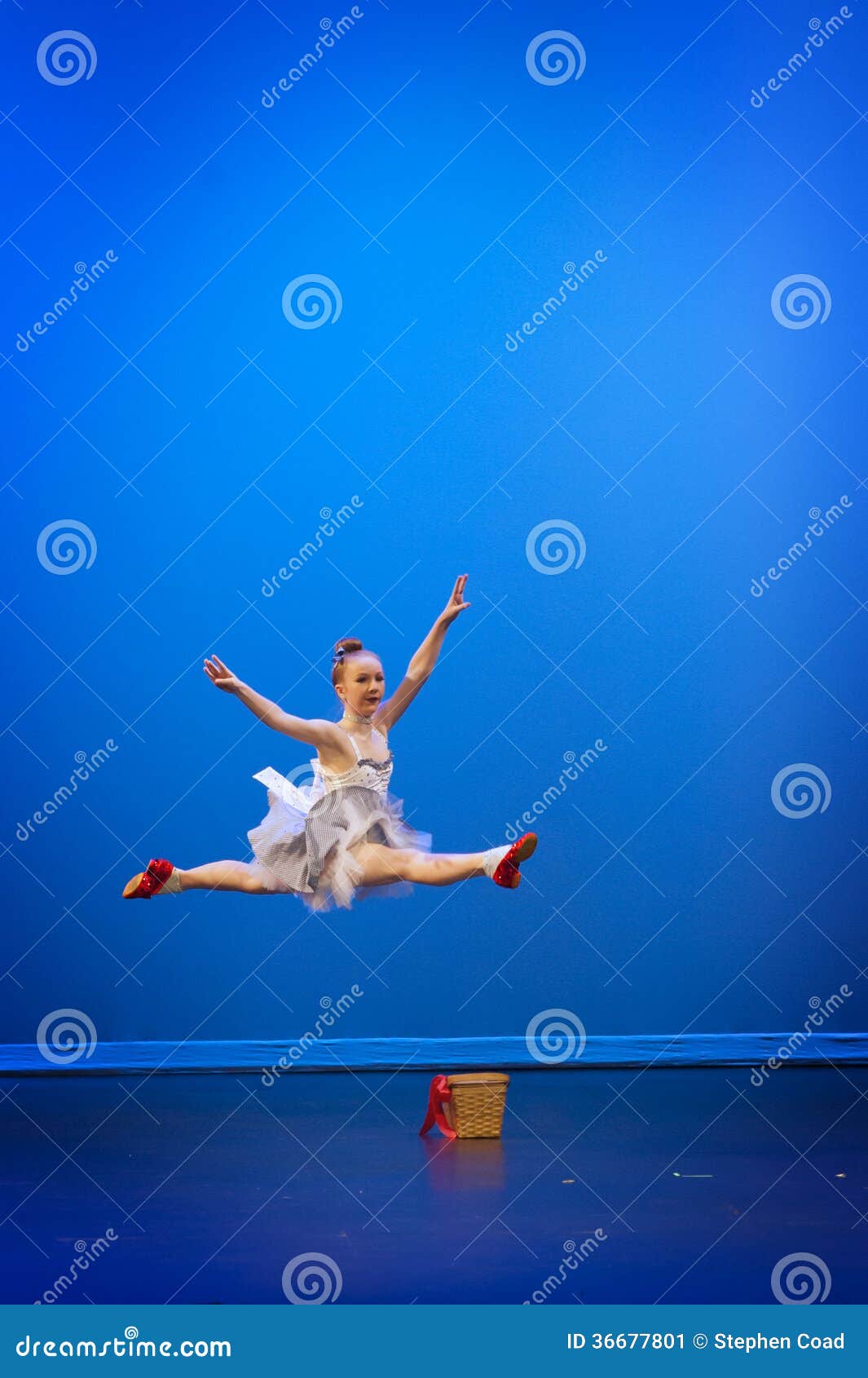 Tiny Dancer stock image. Image of purity, gingham, concentration - 36677801