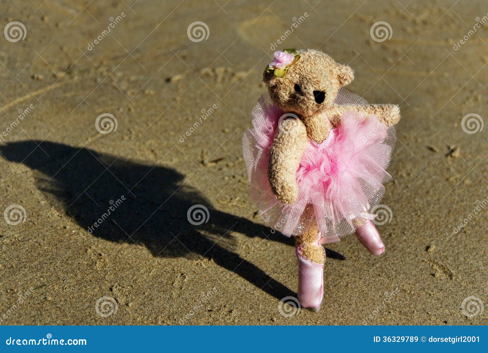 Tiny Dancer stock image. Image of peek, bear, tutu, girly - 36329789