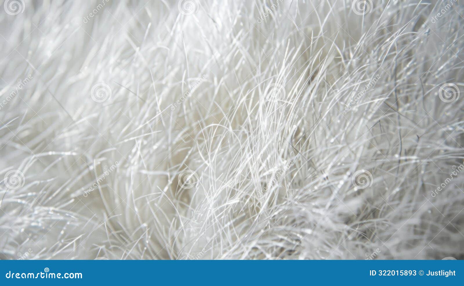 Tiny Downy Hairs Stick Out in Every Direction Giving the Fur a Chaotic ...